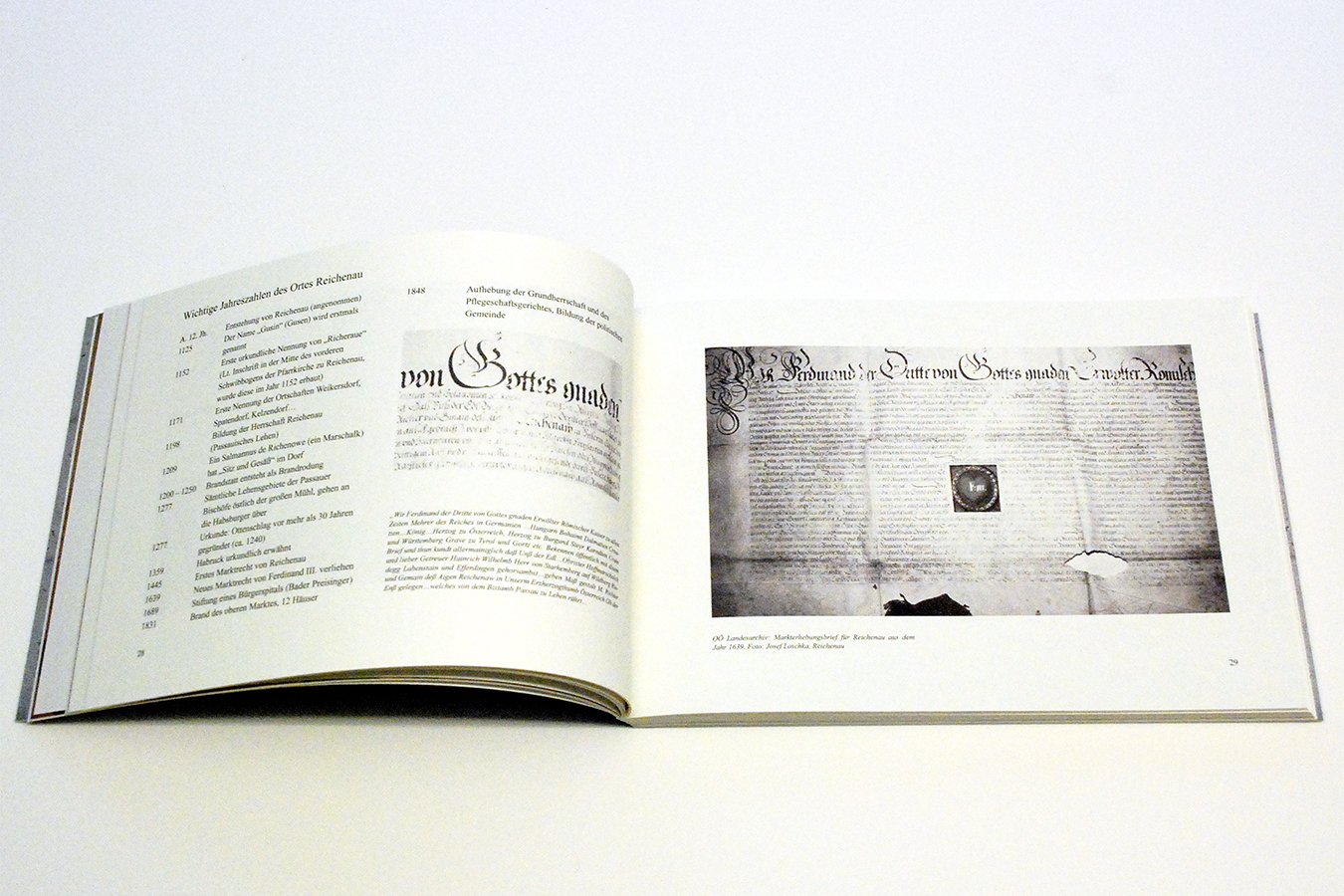 Reichenau Castle Ruin by Tp3 Architekten - Architizer