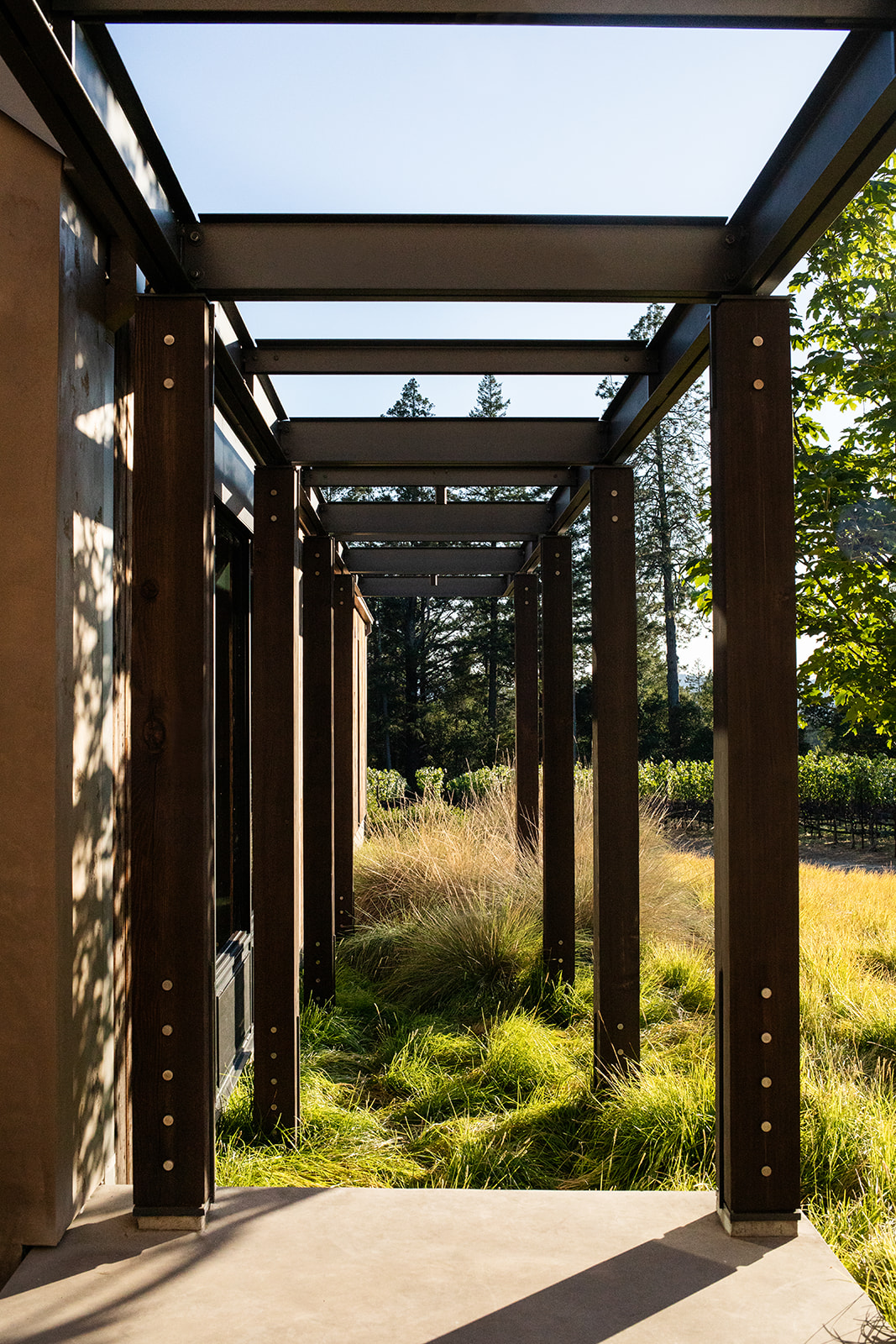 Sentinel Ridge by ROCHE+ROCHE Landscape Architecture - Architizer