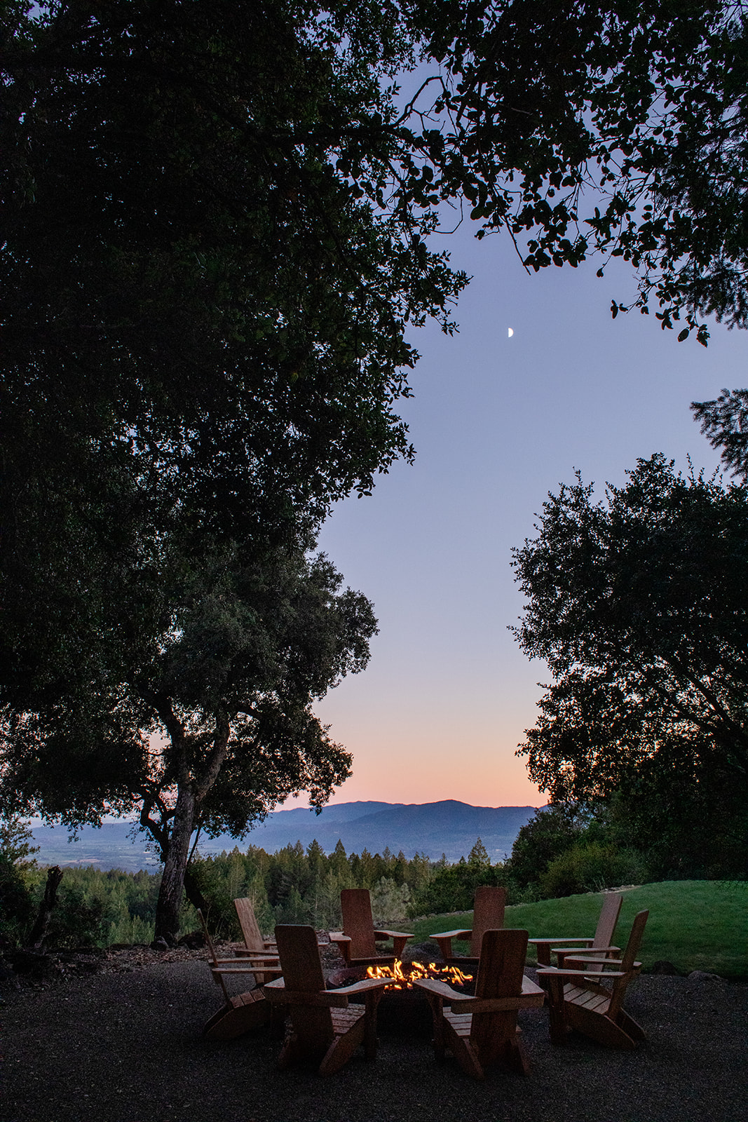 Sentinel Ridge by ROCHE+ROCHE Landscape Architecture - Architizer