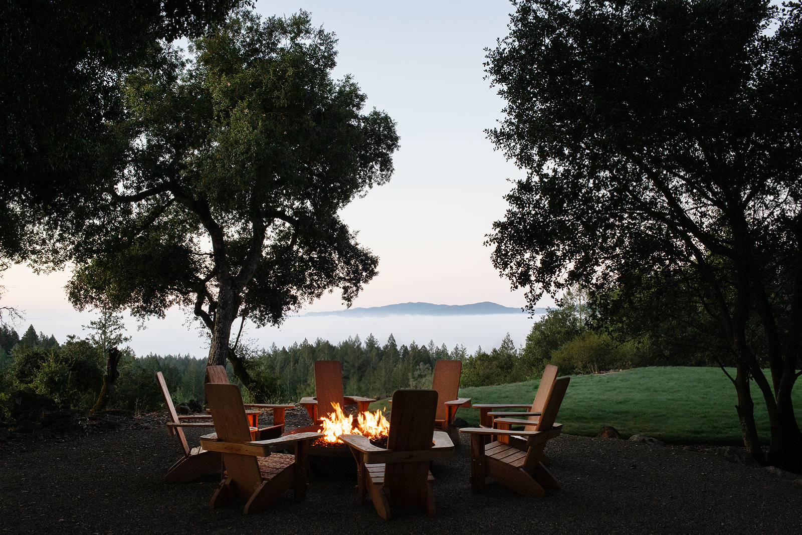 Sentinel Ridge by ROCHE+ROCHE Landscape Architecture - Architizer