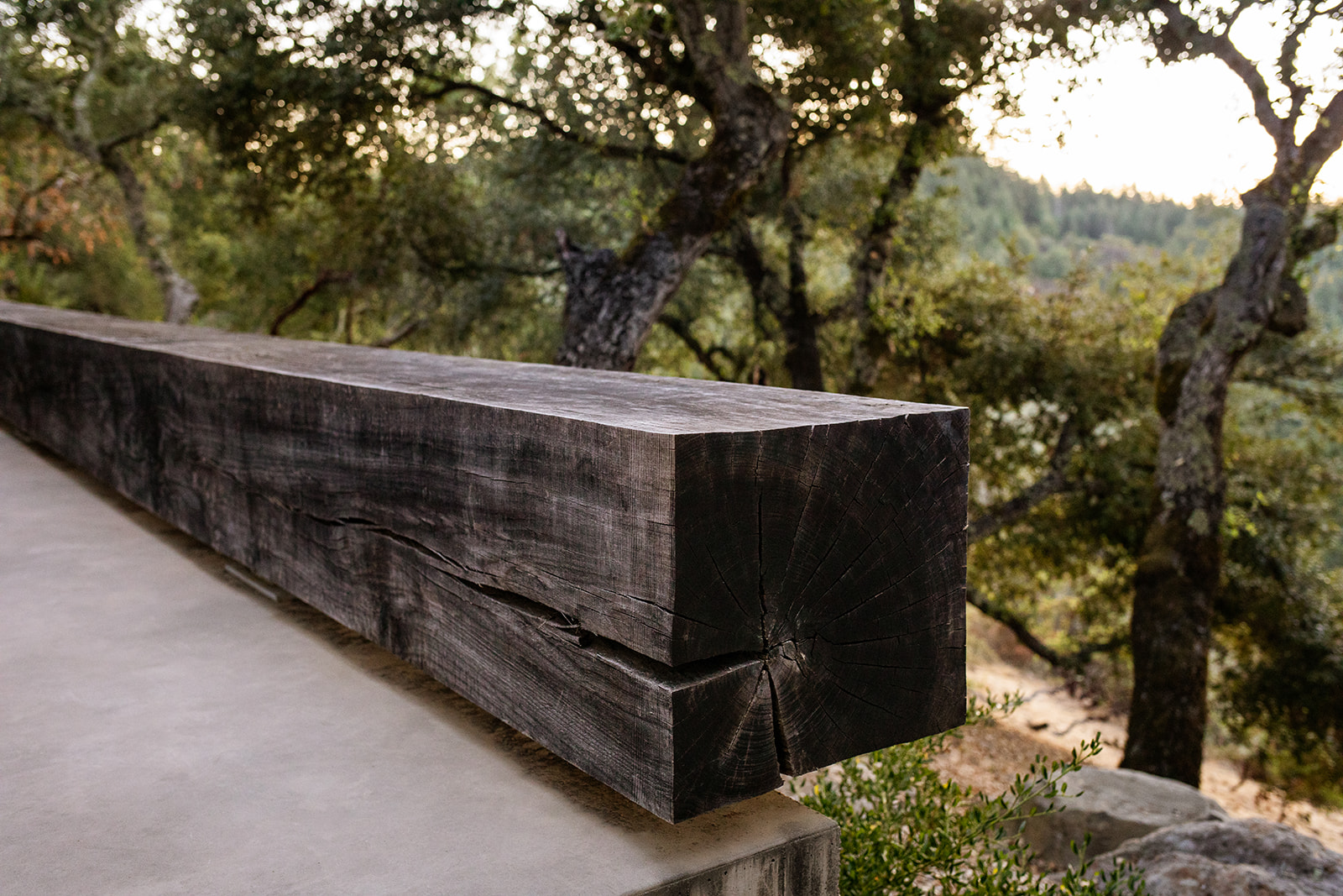 Sentinel Ridge by ROCHE+ROCHE Landscape Architecture - Architizer