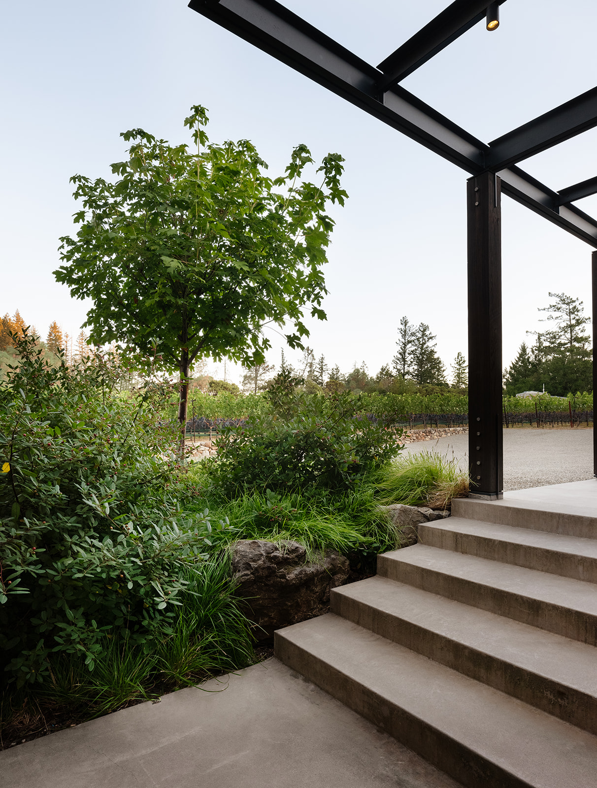 Sentinel Ridge by ROCHE+ROCHE Landscape Architecture - Architizer