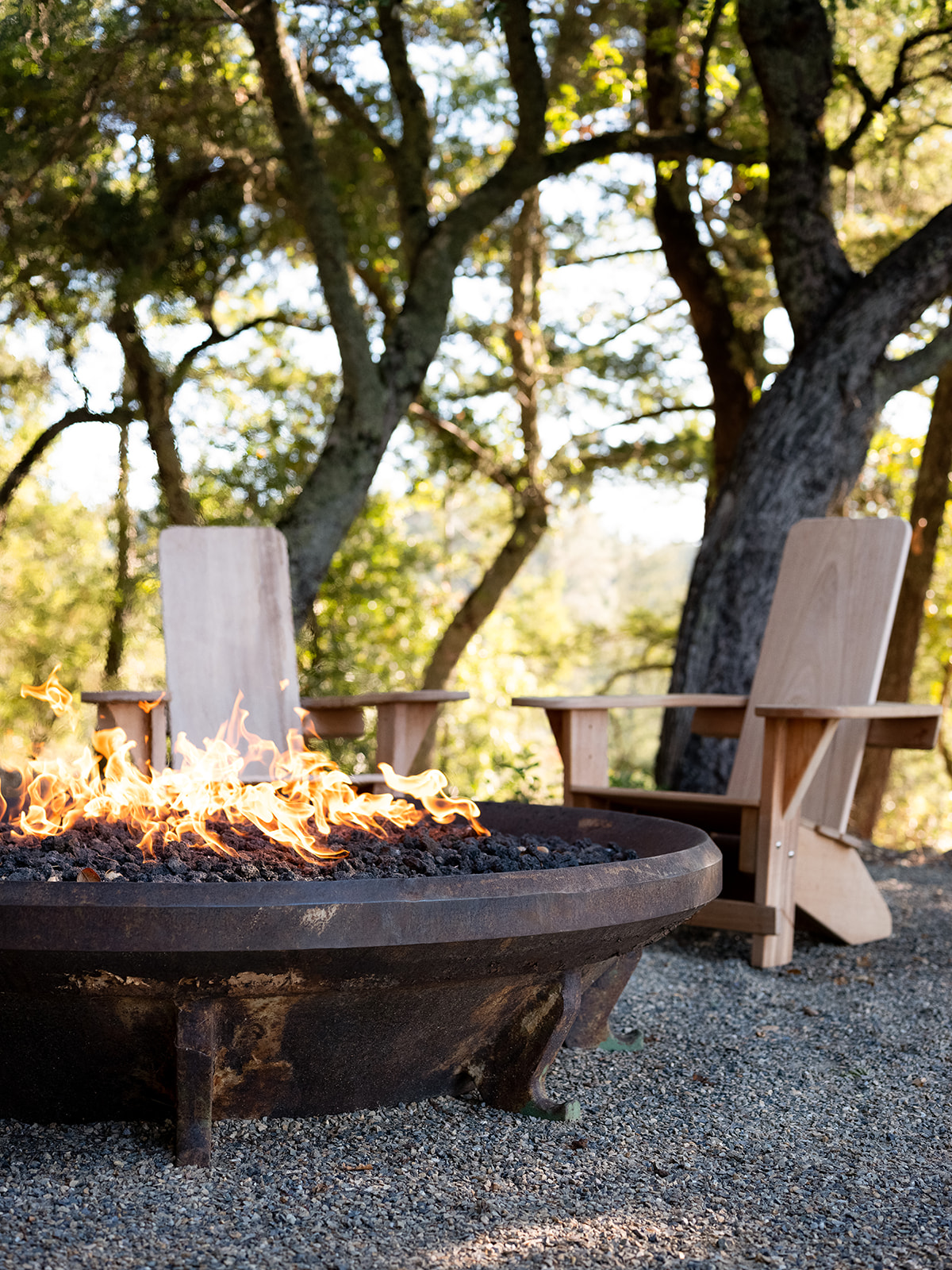 Sentinel Ridge by ROCHE+ROCHE Landscape Architecture - Architizer