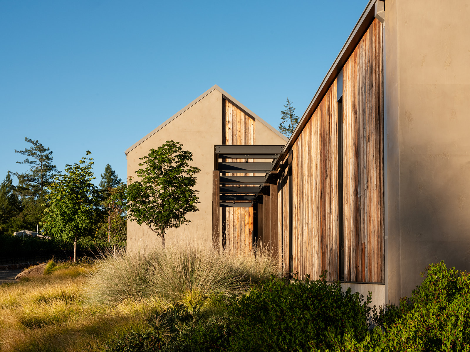 Sentinel Ridge by ROCHE+ROCHE Landscape Architecture - Architizer