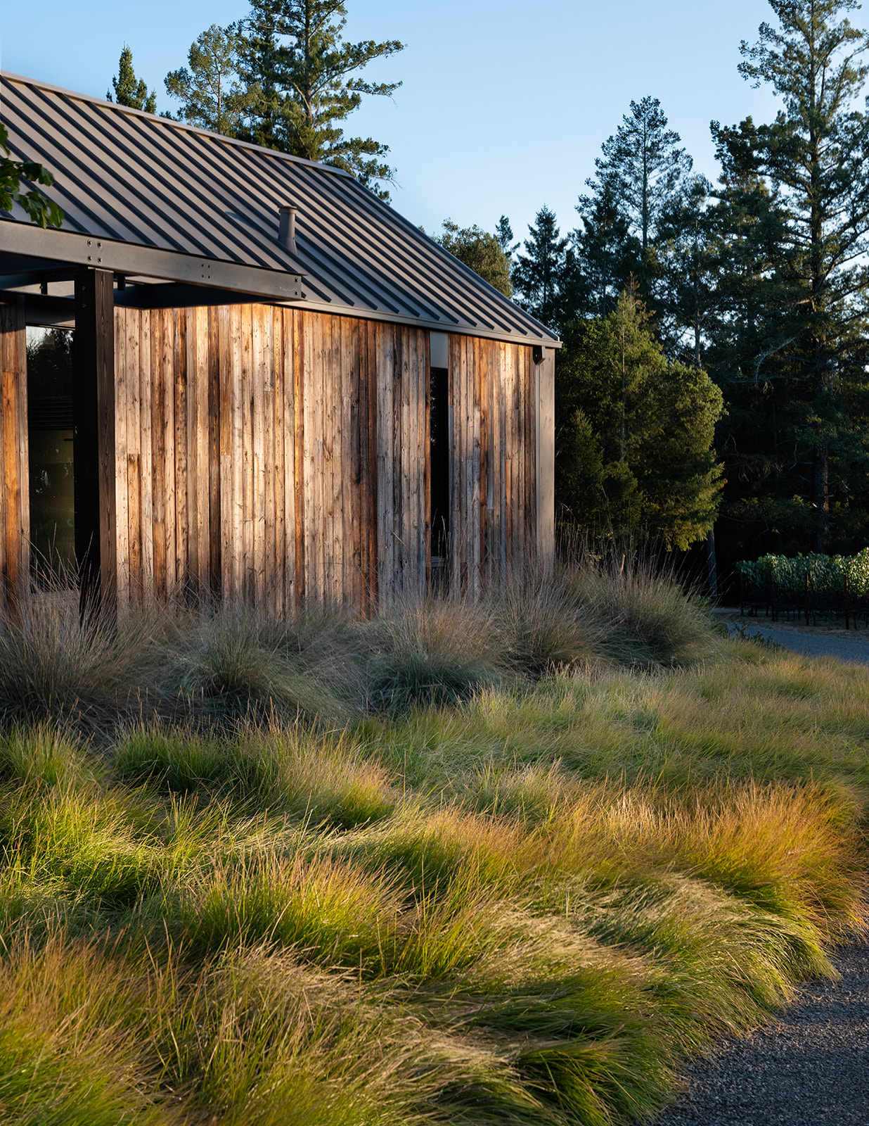 Sentinel Ridge by ROCHE+ROCHE Landscape Architecture - Architizer