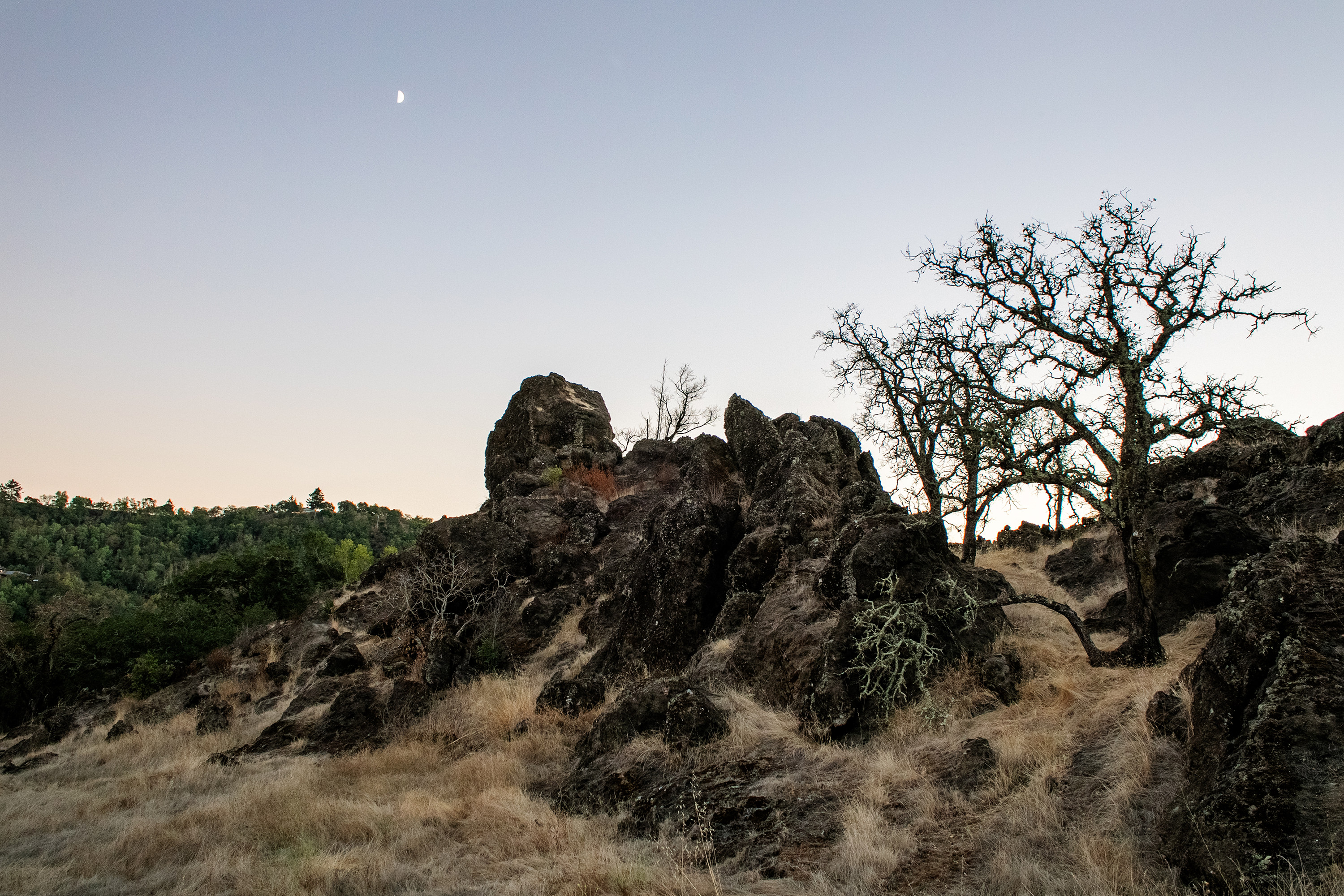 Sky House by ROCHE+ROCHE Landscape Architecture - Architizer