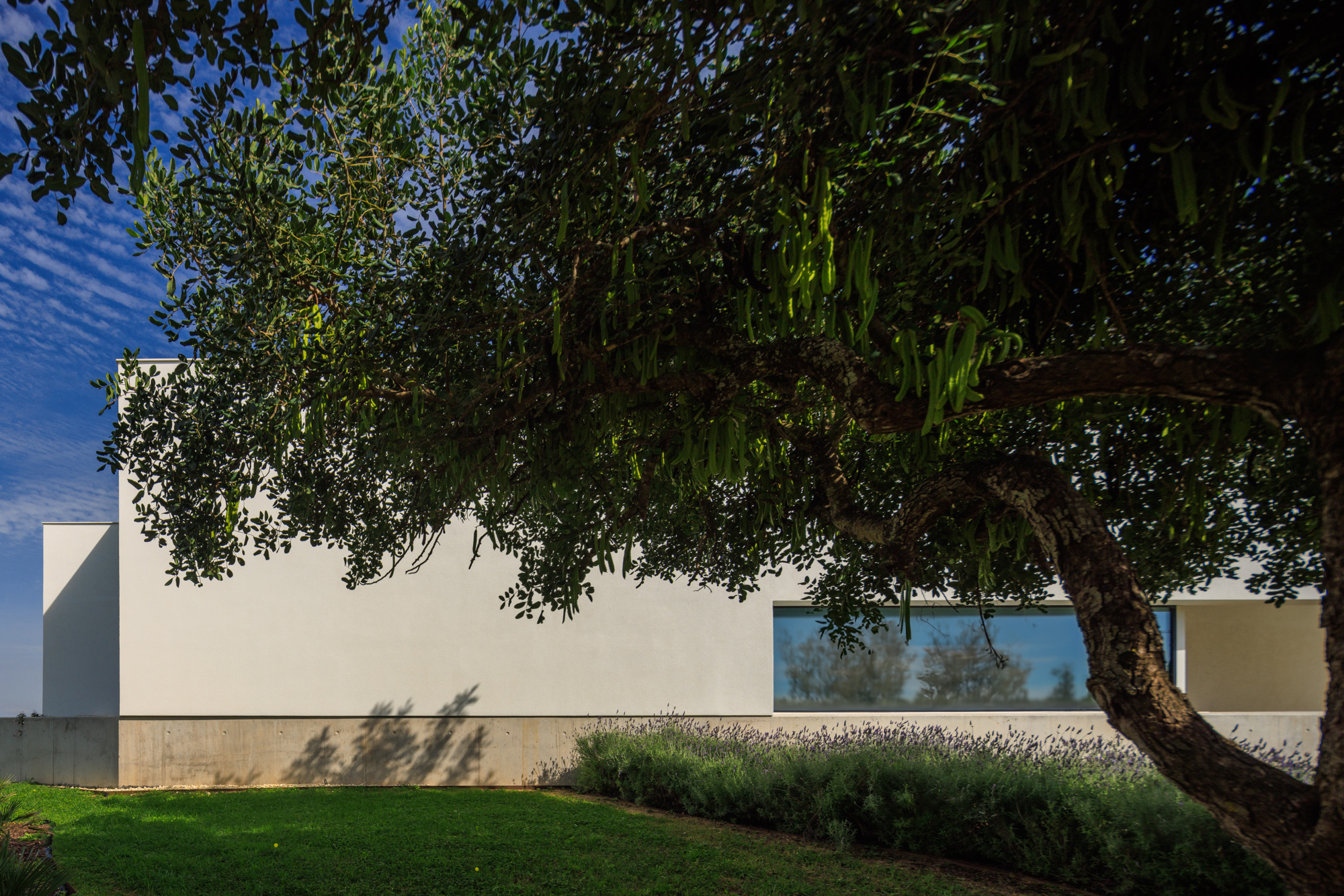 Casa da Ria by Mario Martins Atelier - Architizer