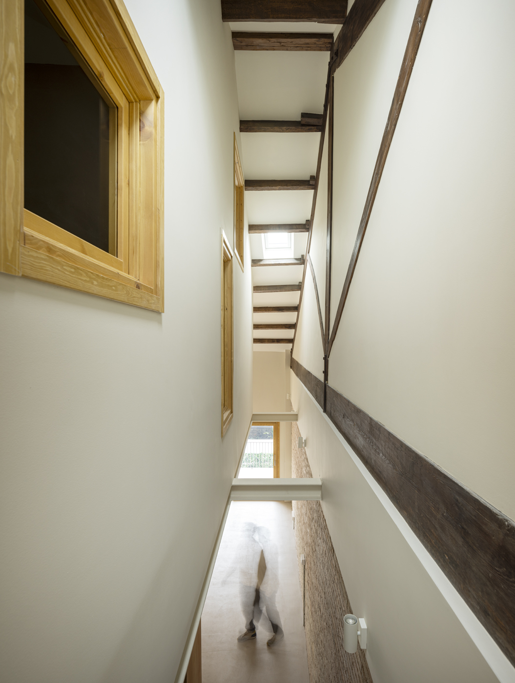 CASA TAU by Nook Architects - Architizer