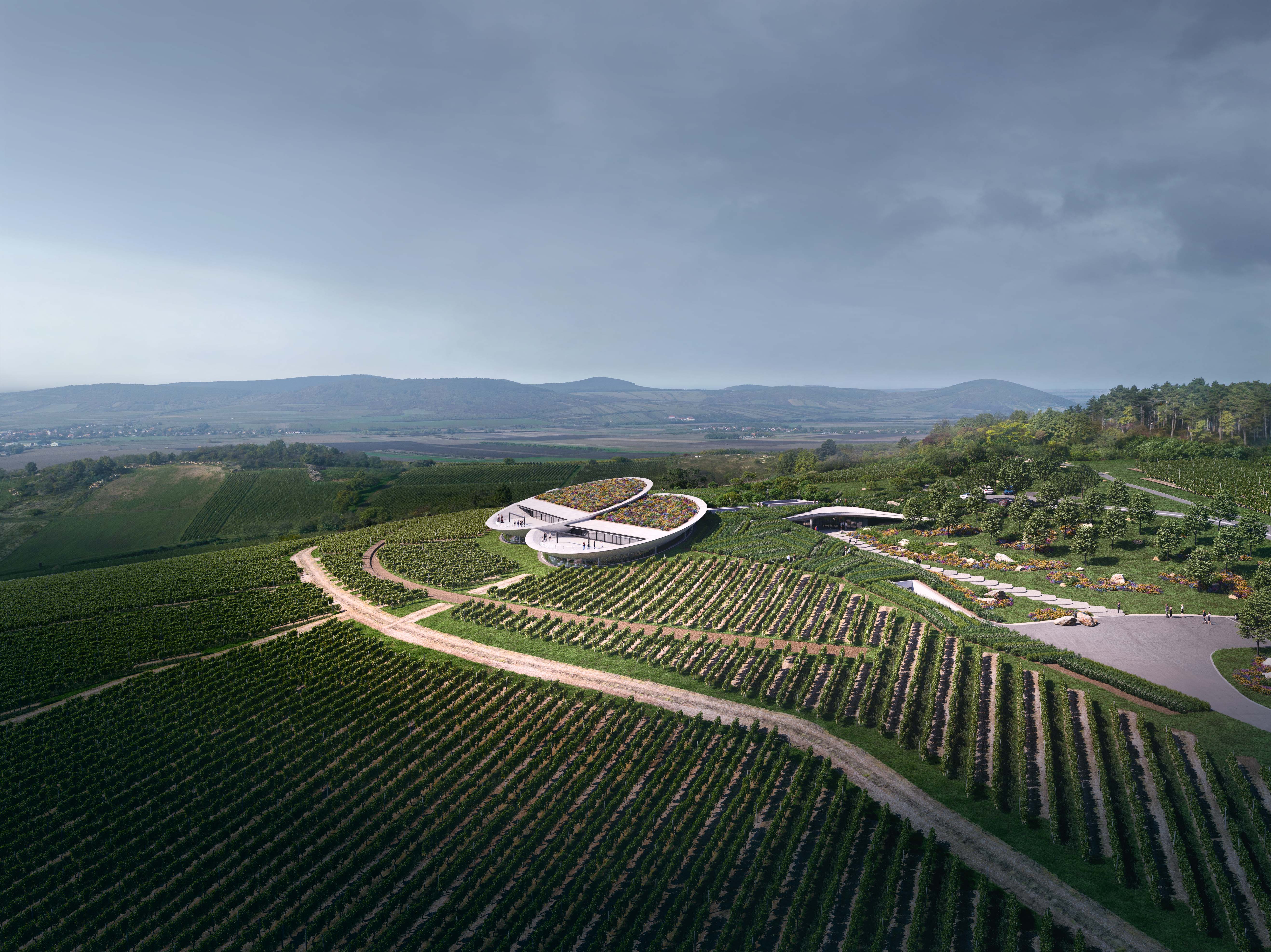 Sauska Tokay Winery by The Greypixel Studio - Architizer