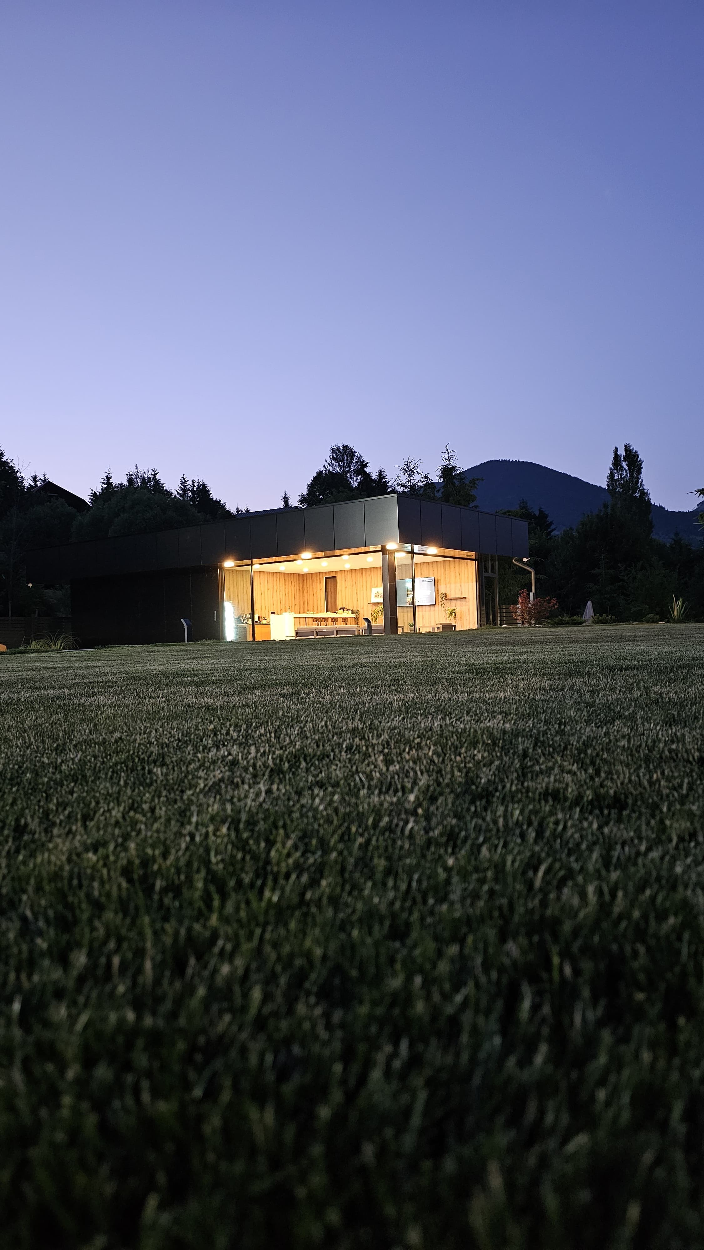 Little Black House by Ion Eremciuc Architects - Architizer