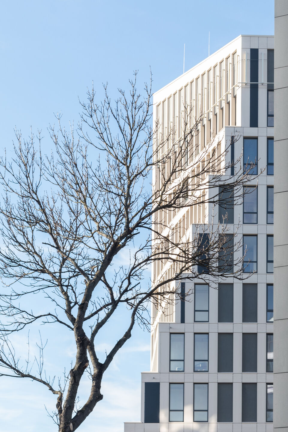 Forum Apartments by AVR Development - Architizer