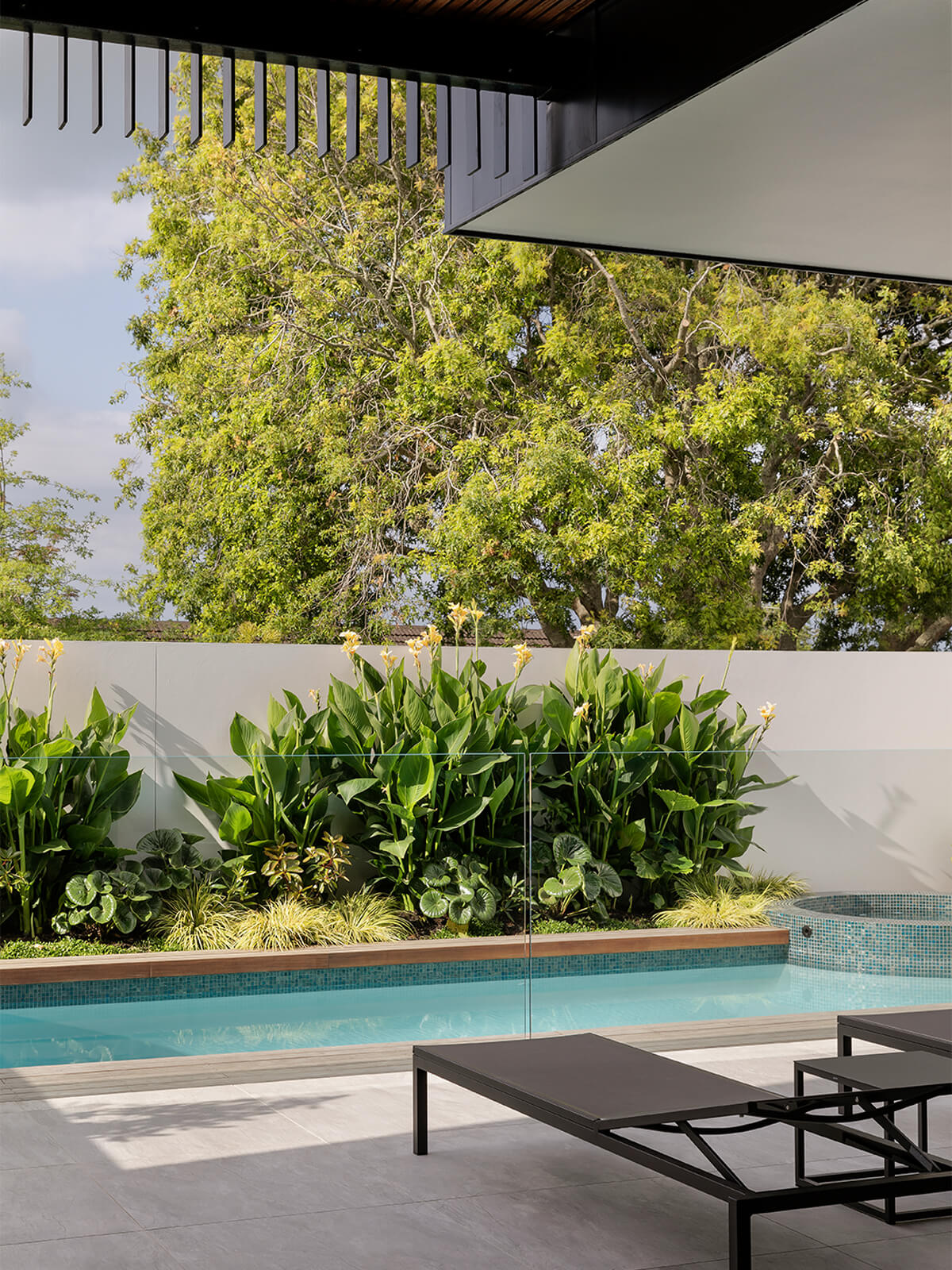 Lin House by Daniel Marshall Architects - Architizer