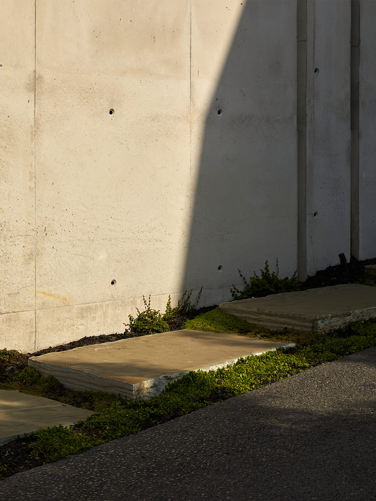 Lin House by Daniel Marshall Architects - Architizer