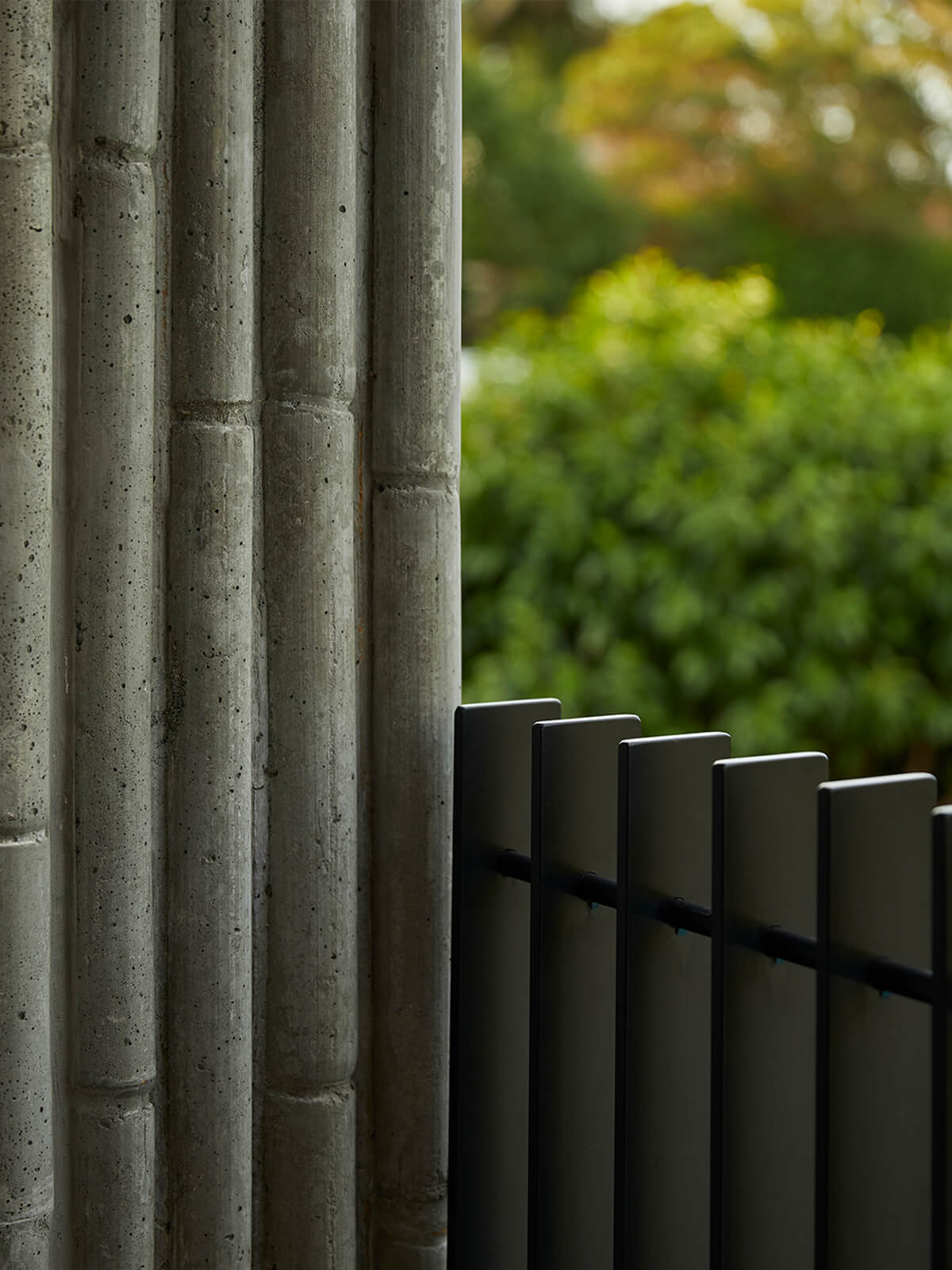 Lin House by Daniel Marshall Architects - Architizer