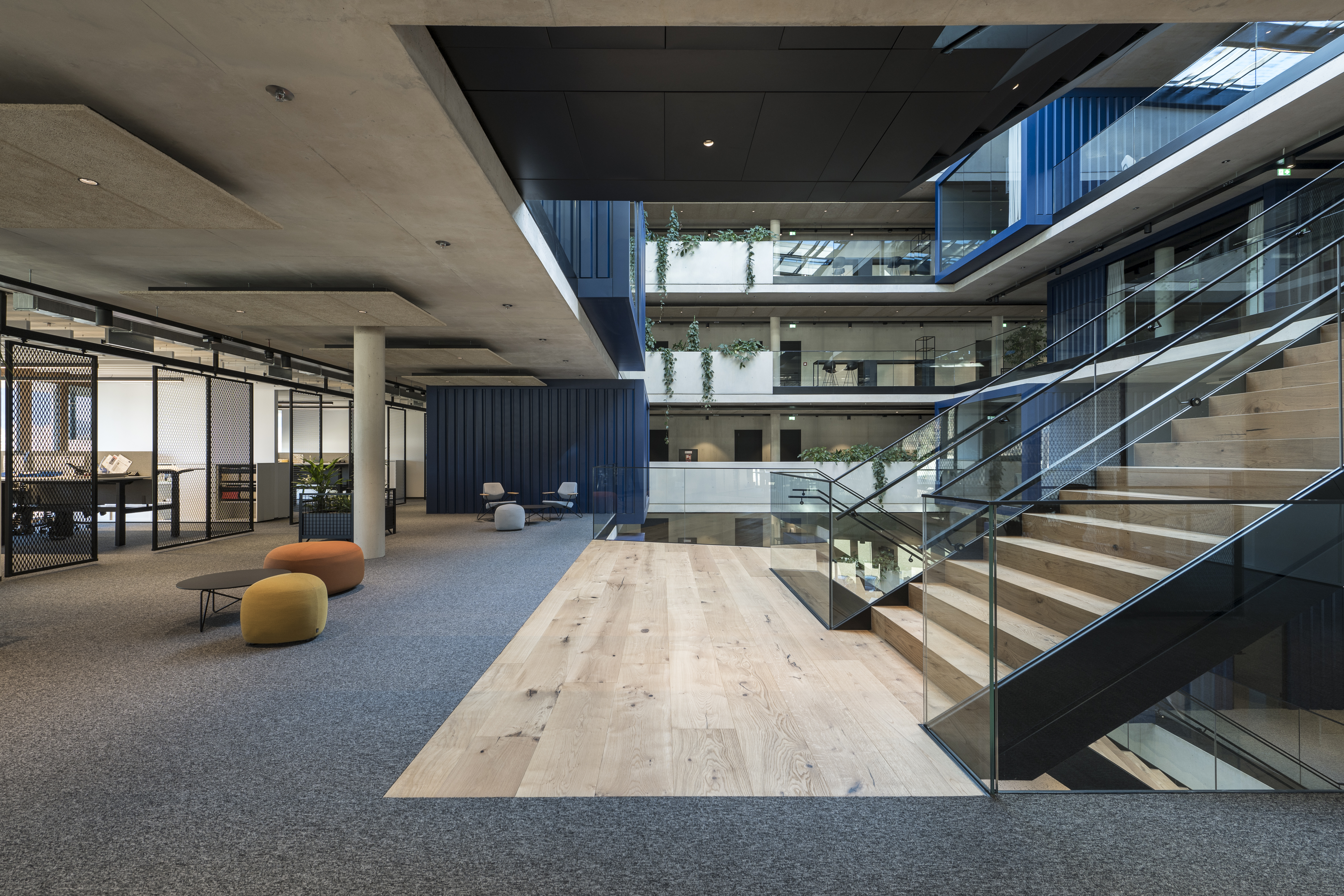 New headquarters for the BODNER-Group by Zechner & Zechner - Architizer