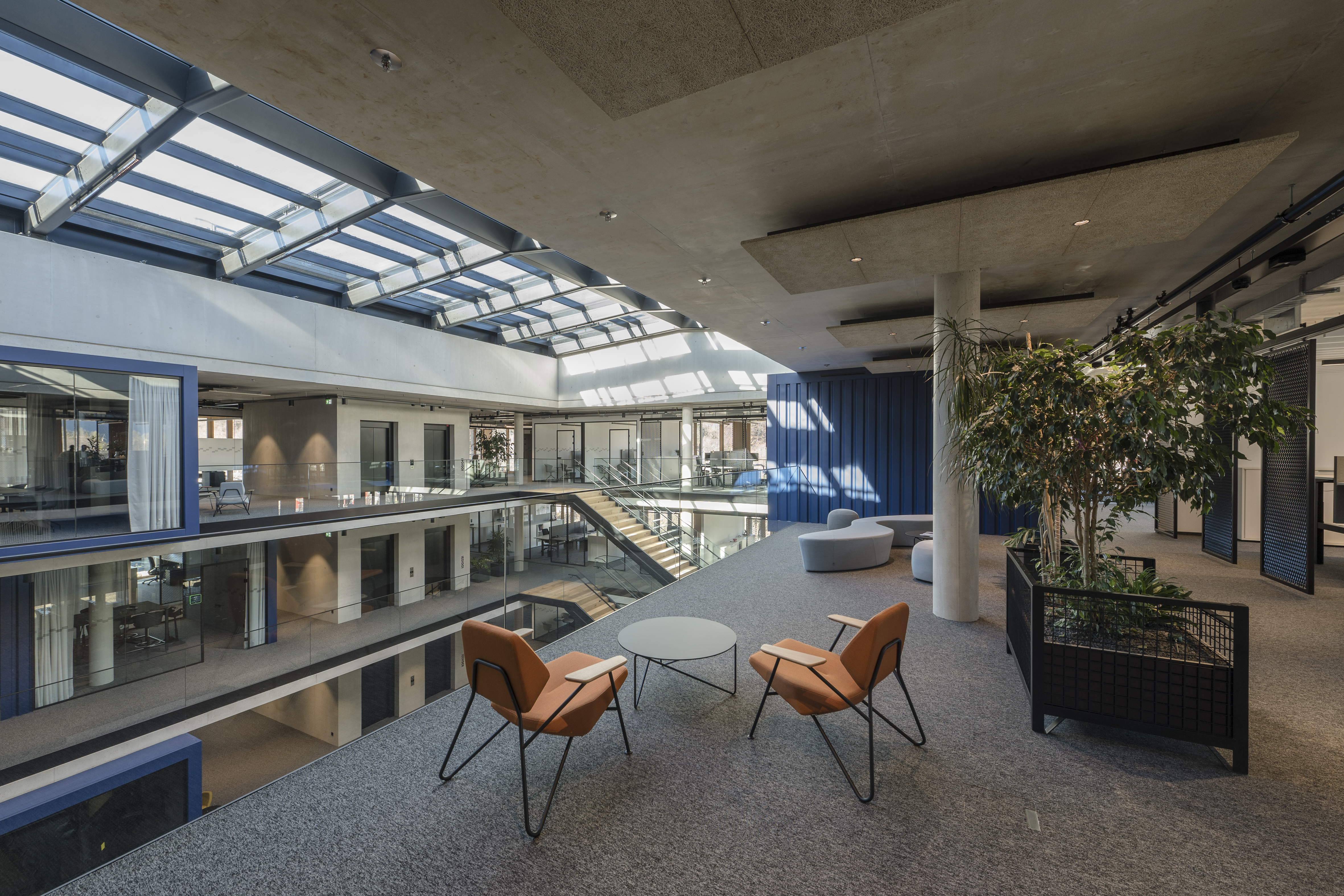 New headquarters for the BODNER-Group by Zechner & Zechner - Architizer
