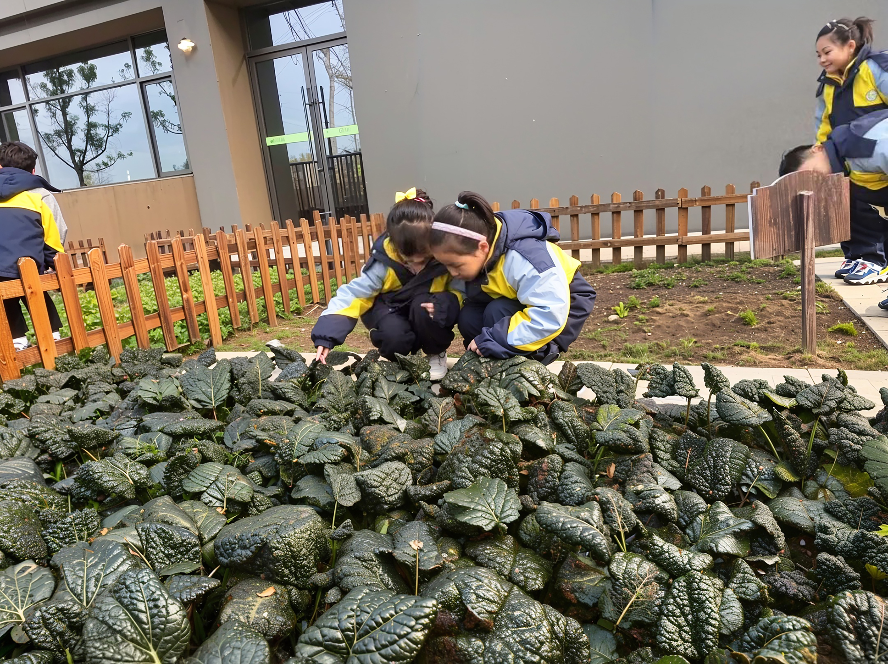 Baoying New Town Experimental School by Shanghai Dushe Architectural ...