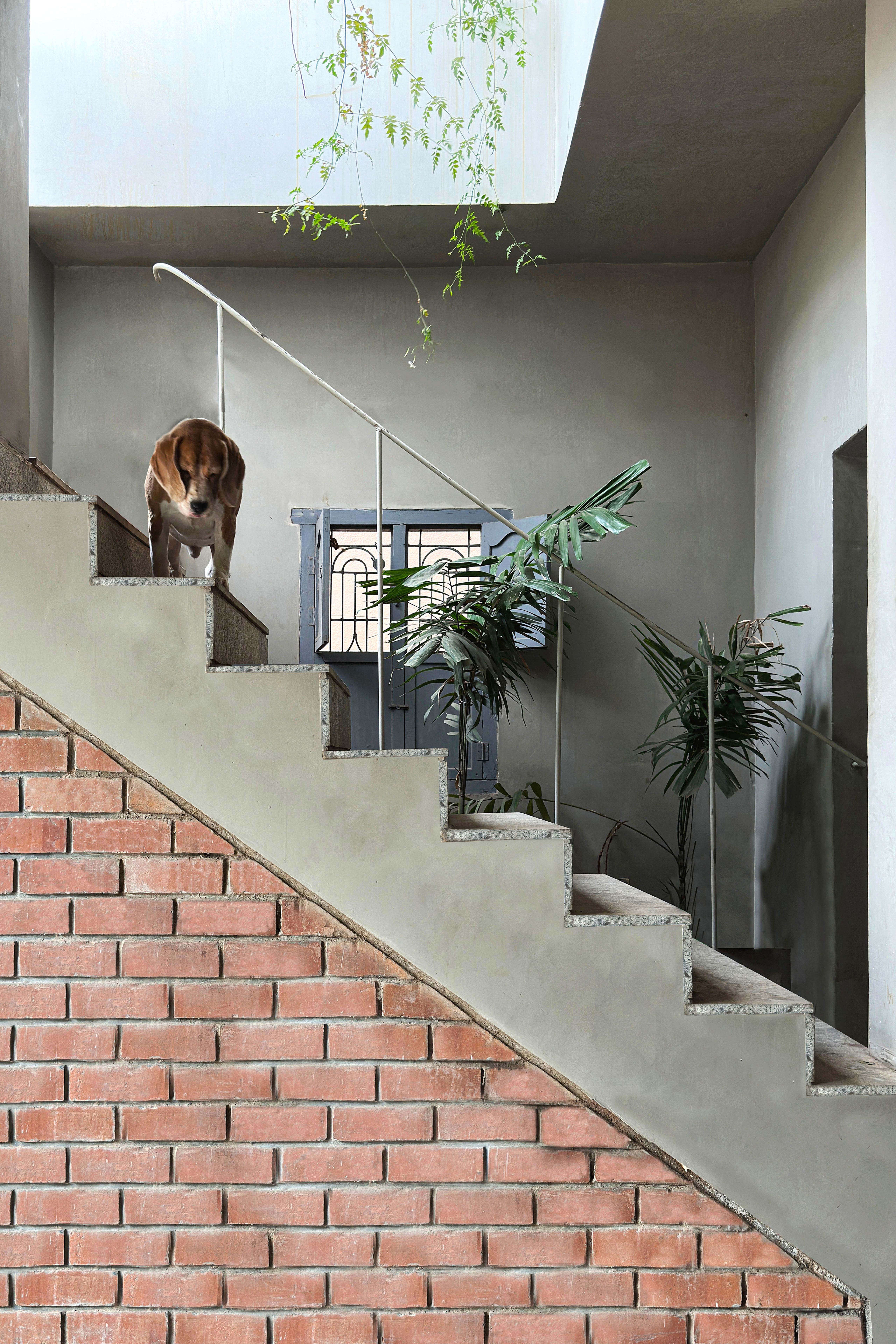 Echoed Hues by A nook story - Architizer