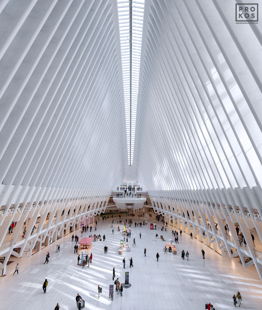 Oculus NYC by Andrew Prokos Architectural Photography - Architizer