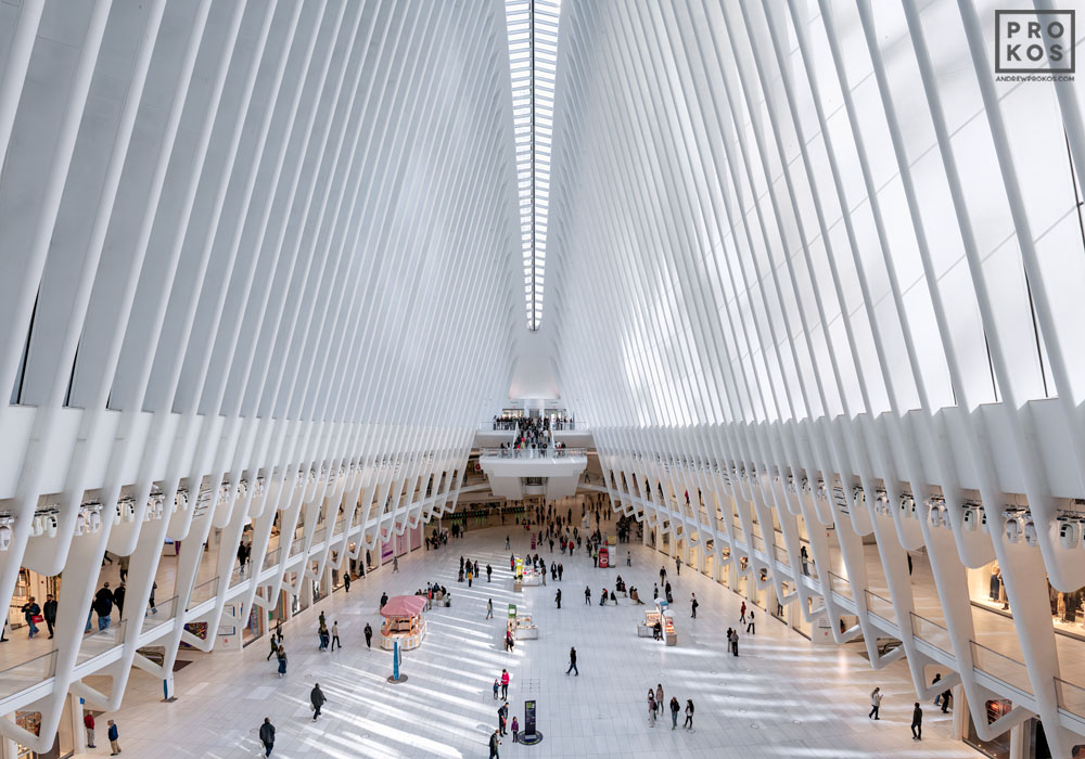 Oculus NYC by Andrew Prokos Architectural Photography - Architizer