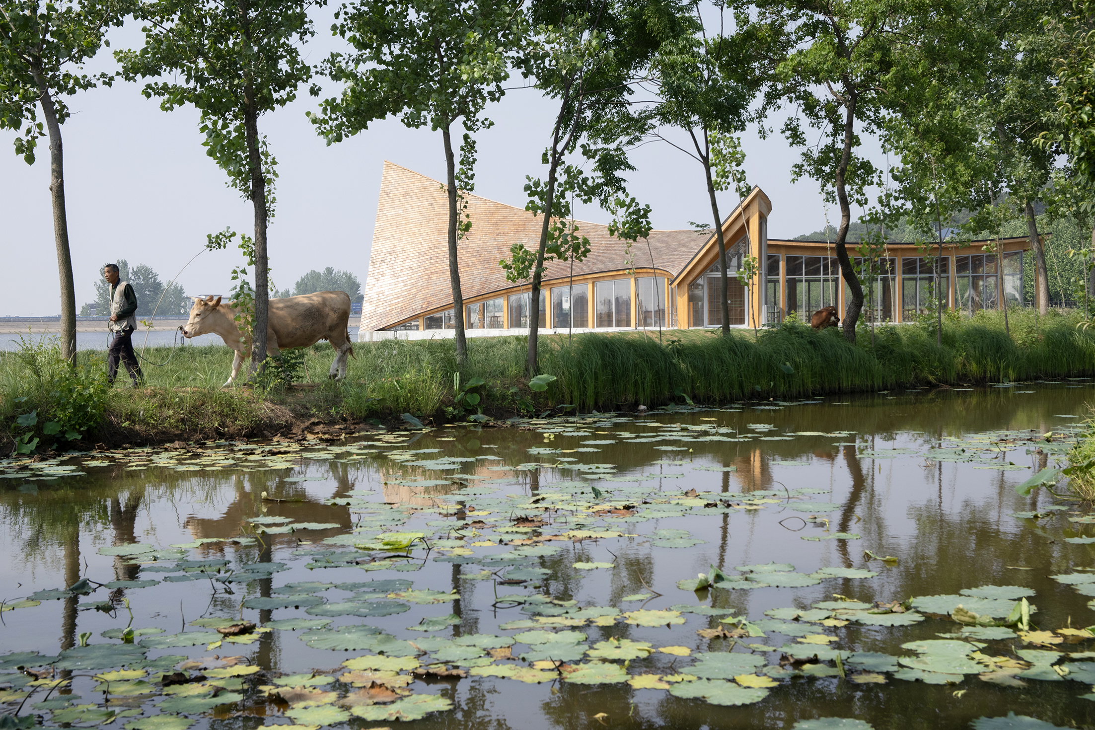 The Driftwood Village Center by Primary Architects - Architizer