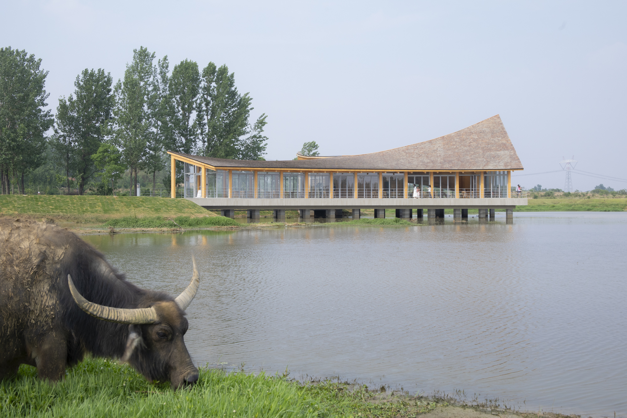 The Driftwood Village Center by Primary Architects - Architizer