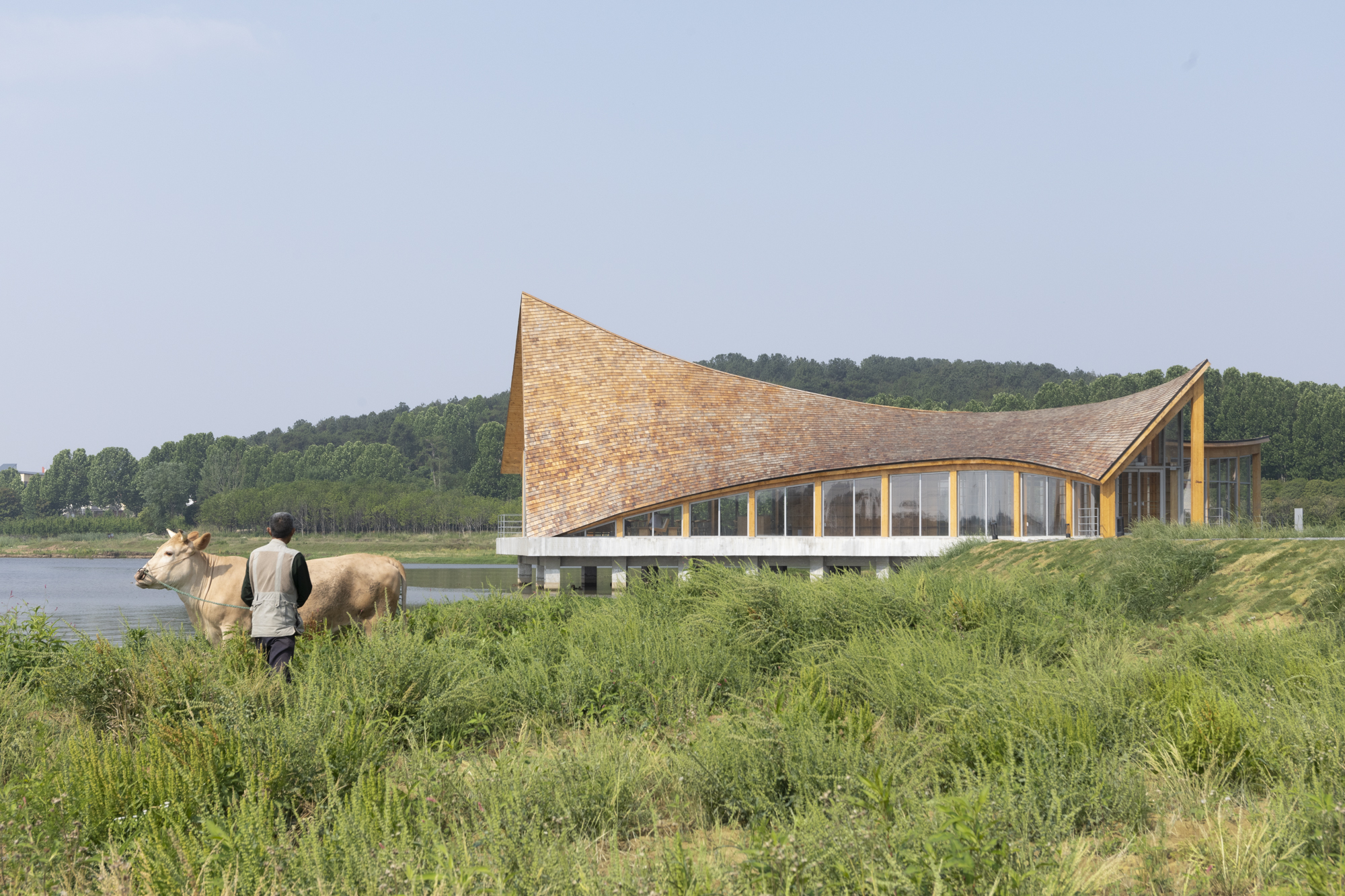 The Driftwood Village Center by Primary Architects - Architizer
