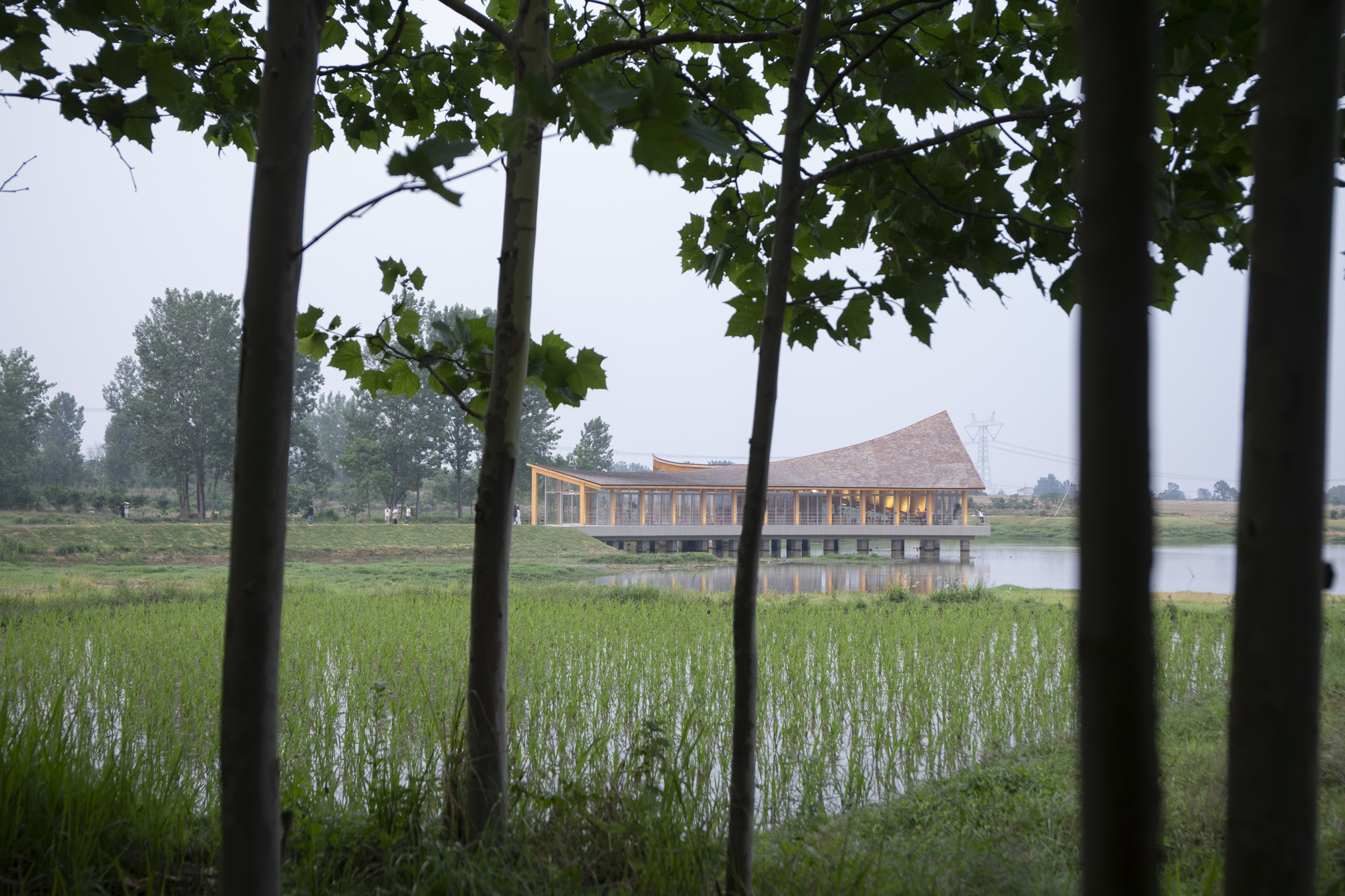 The Driftwood Village Center by Primary Architects - Architizer