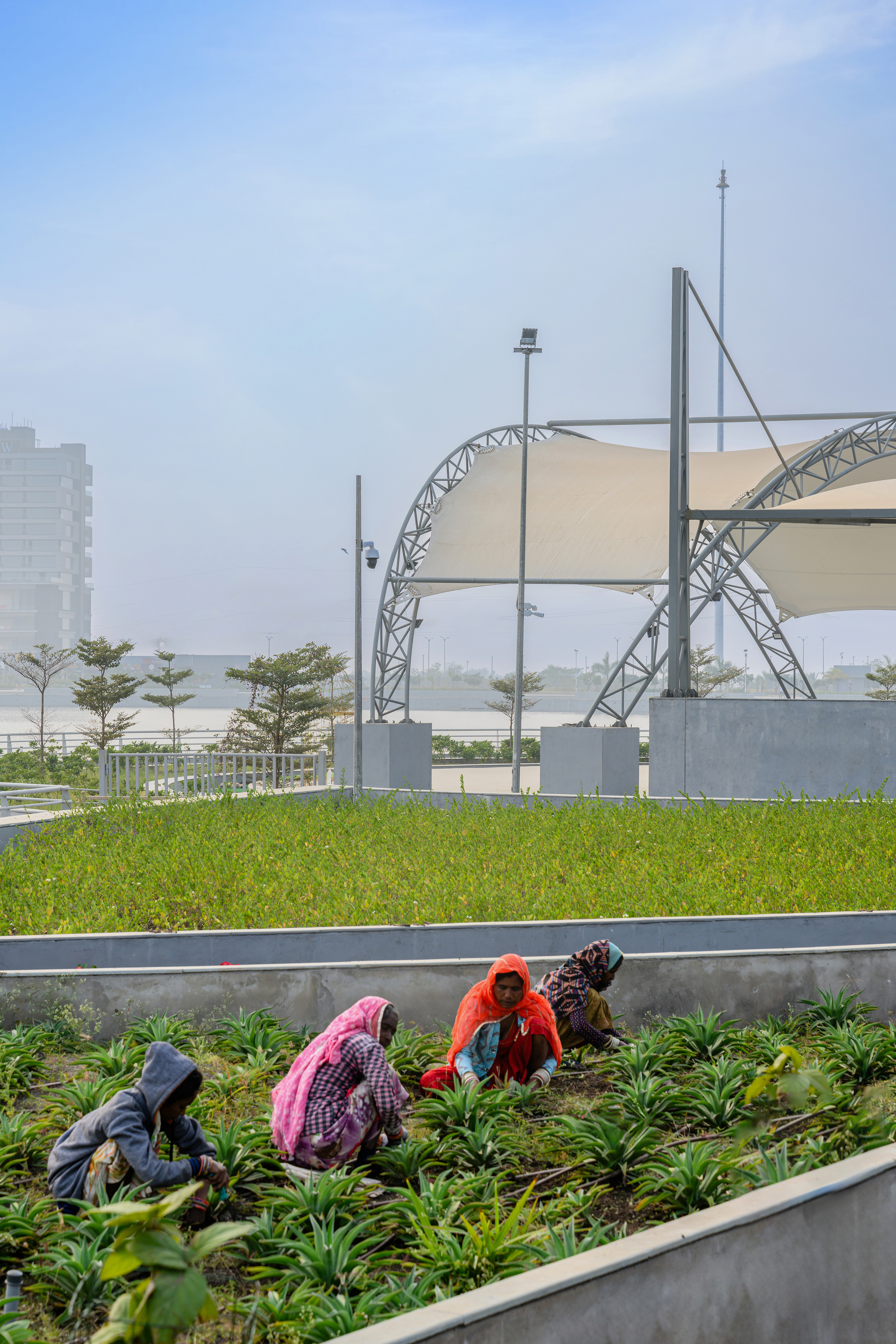 Atal Sarovar: A Water-Sensitive Urban Integration by INI Design Studio ...
