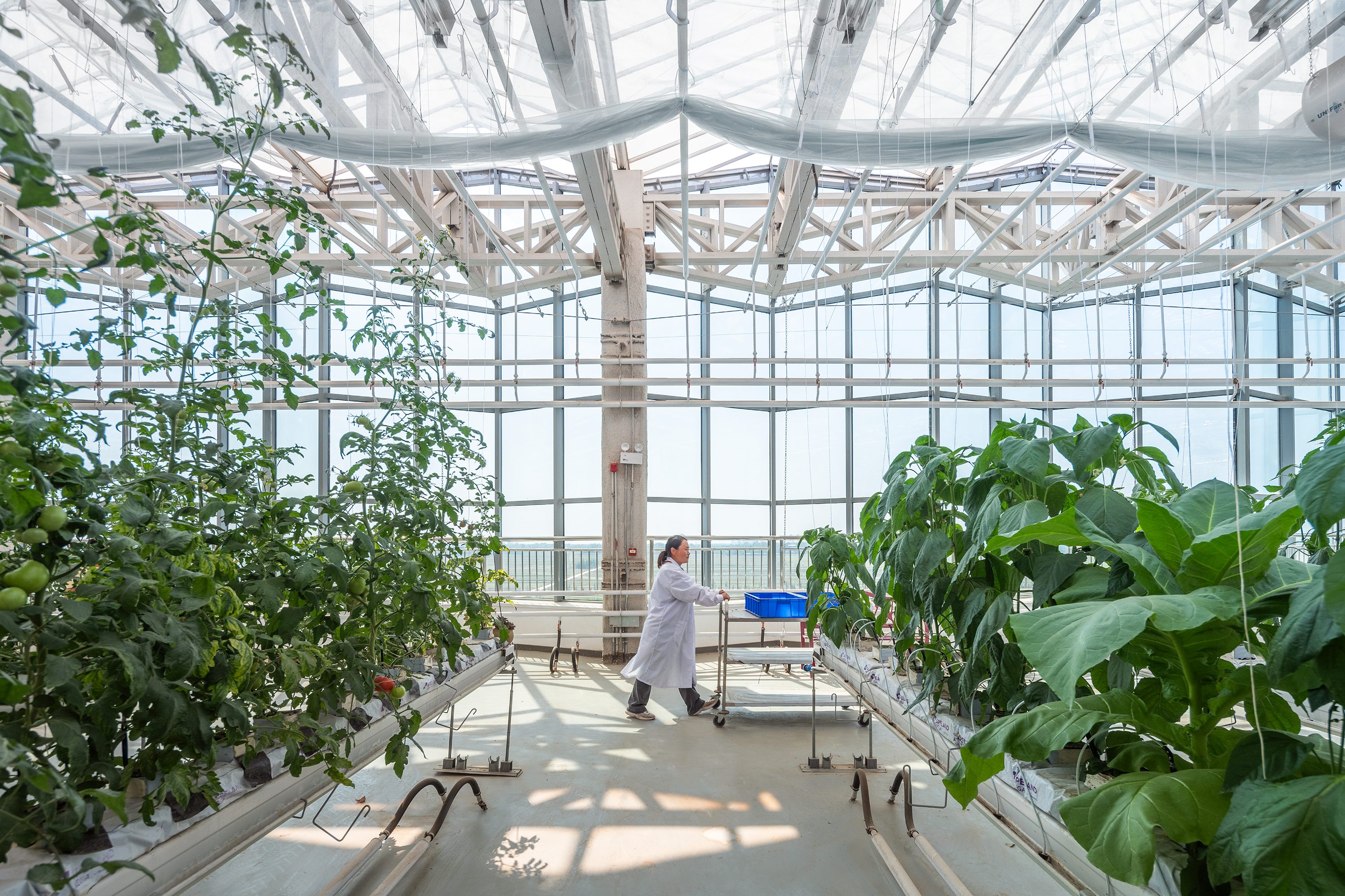 Vertical Farm Hengshui by van Bergen Kolpa Architects - Architizer
