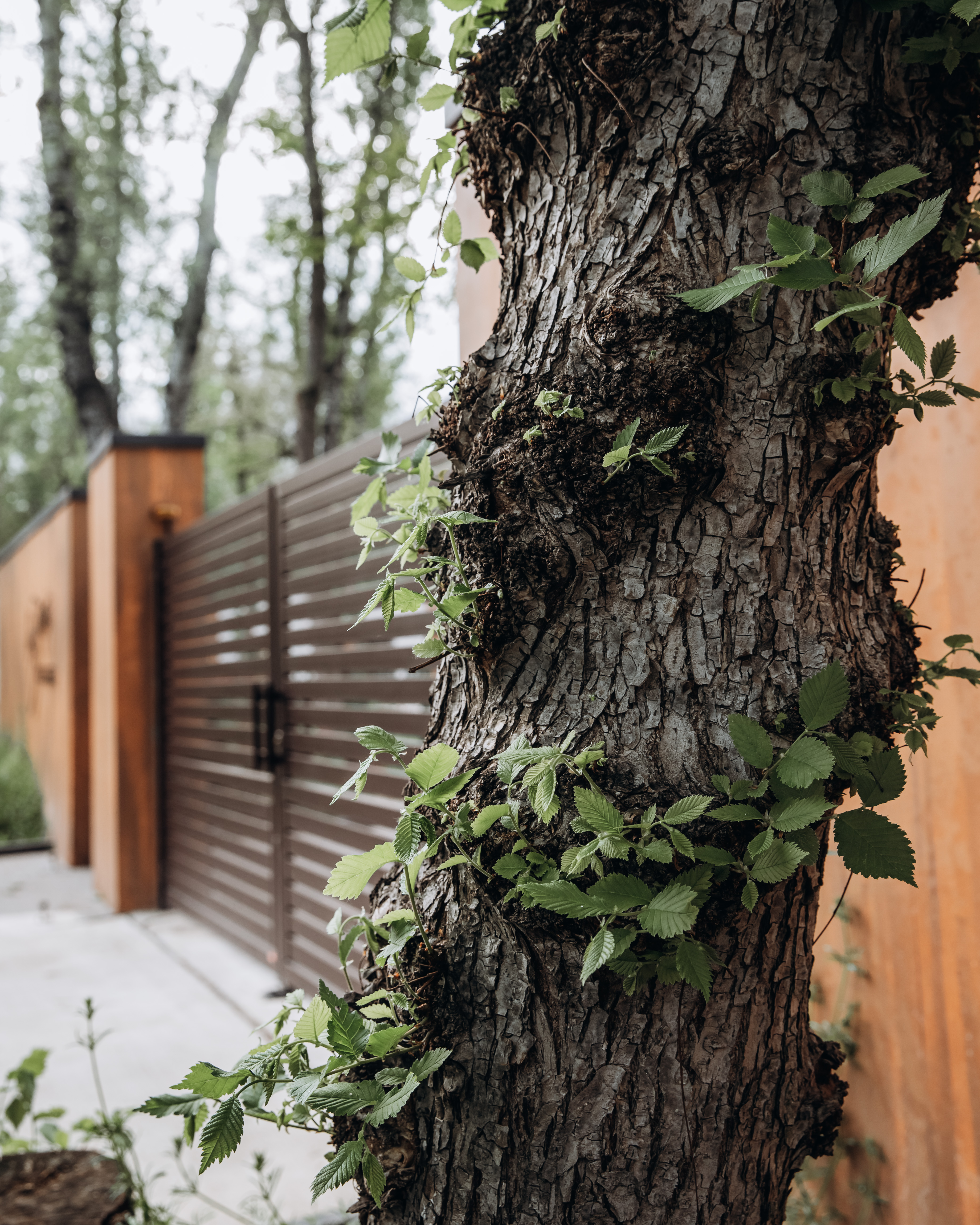 La Sarkis Village: A Moldovan Community Built Around Nature by LH47 ...
