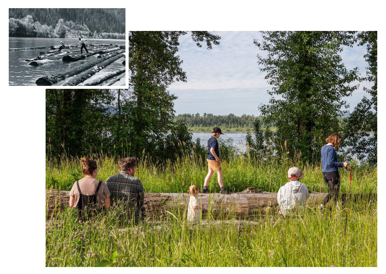 Eagle View Park by Ground Workshop - Architizer