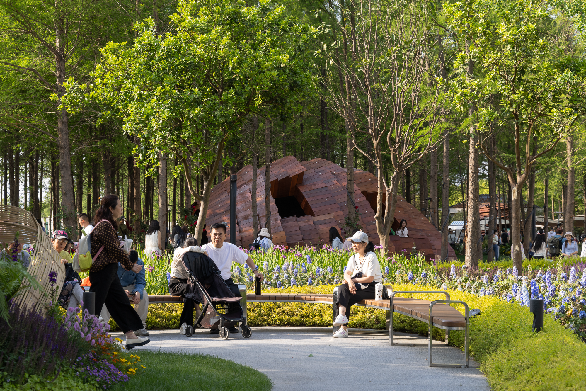 Cone Pavilion: A Leisure Installation in the Bald Cypress Grove of ...