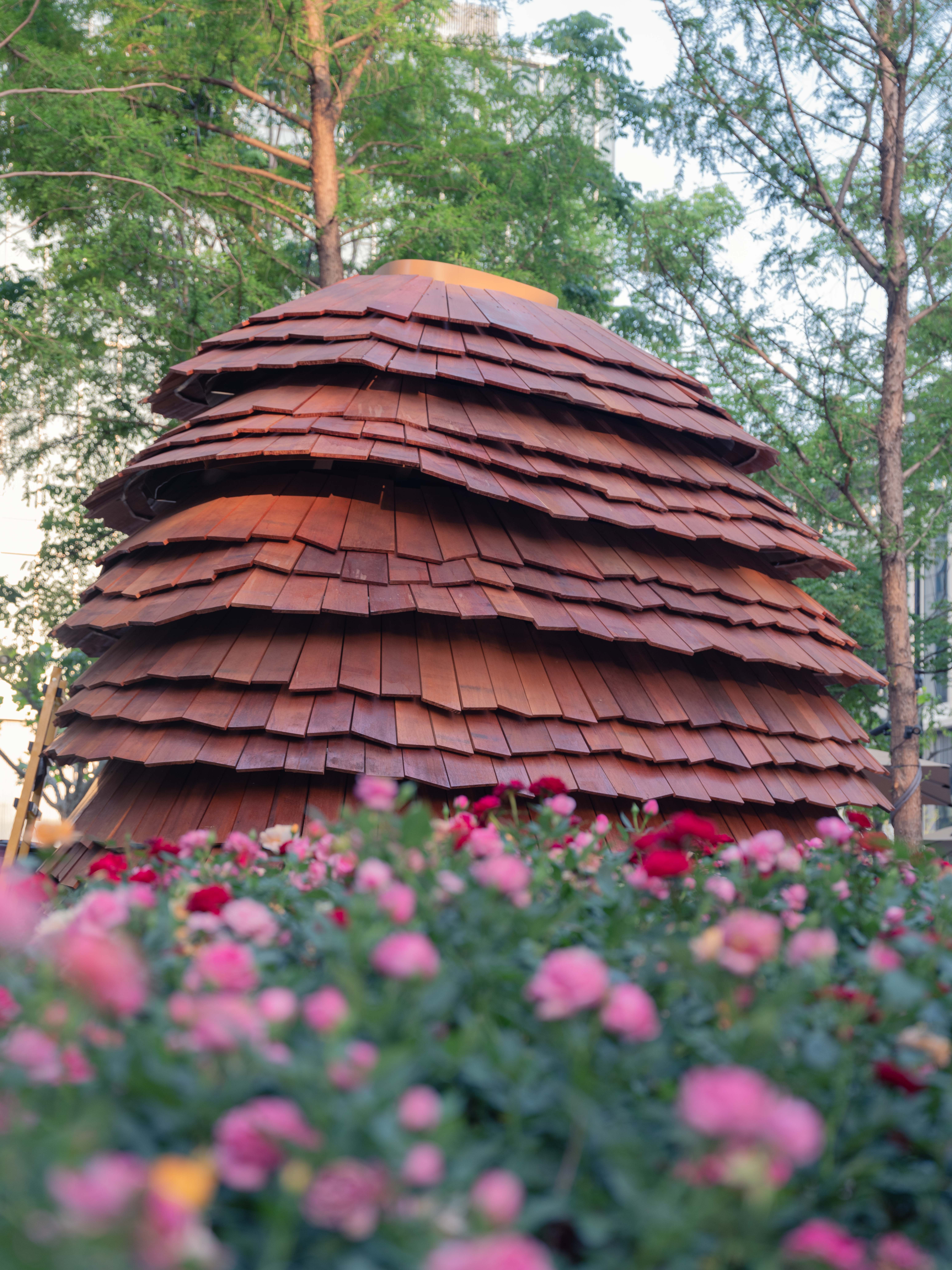 Cone Pavilion: A Leisure Installation in the Bald Cypress Grove of ...