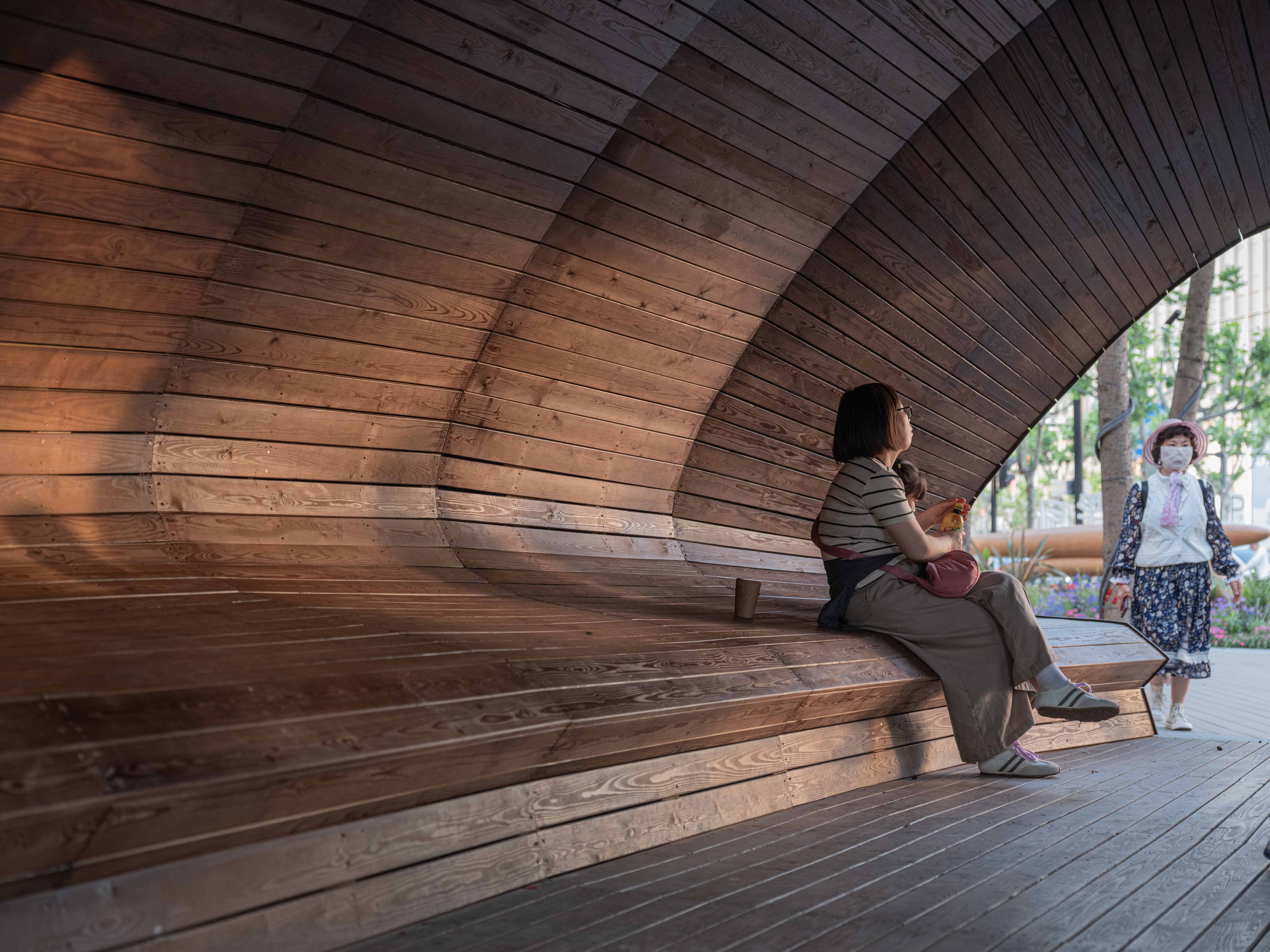Cone Pavilion: A Leisure Installation in the Bald Cypress Grove of ...