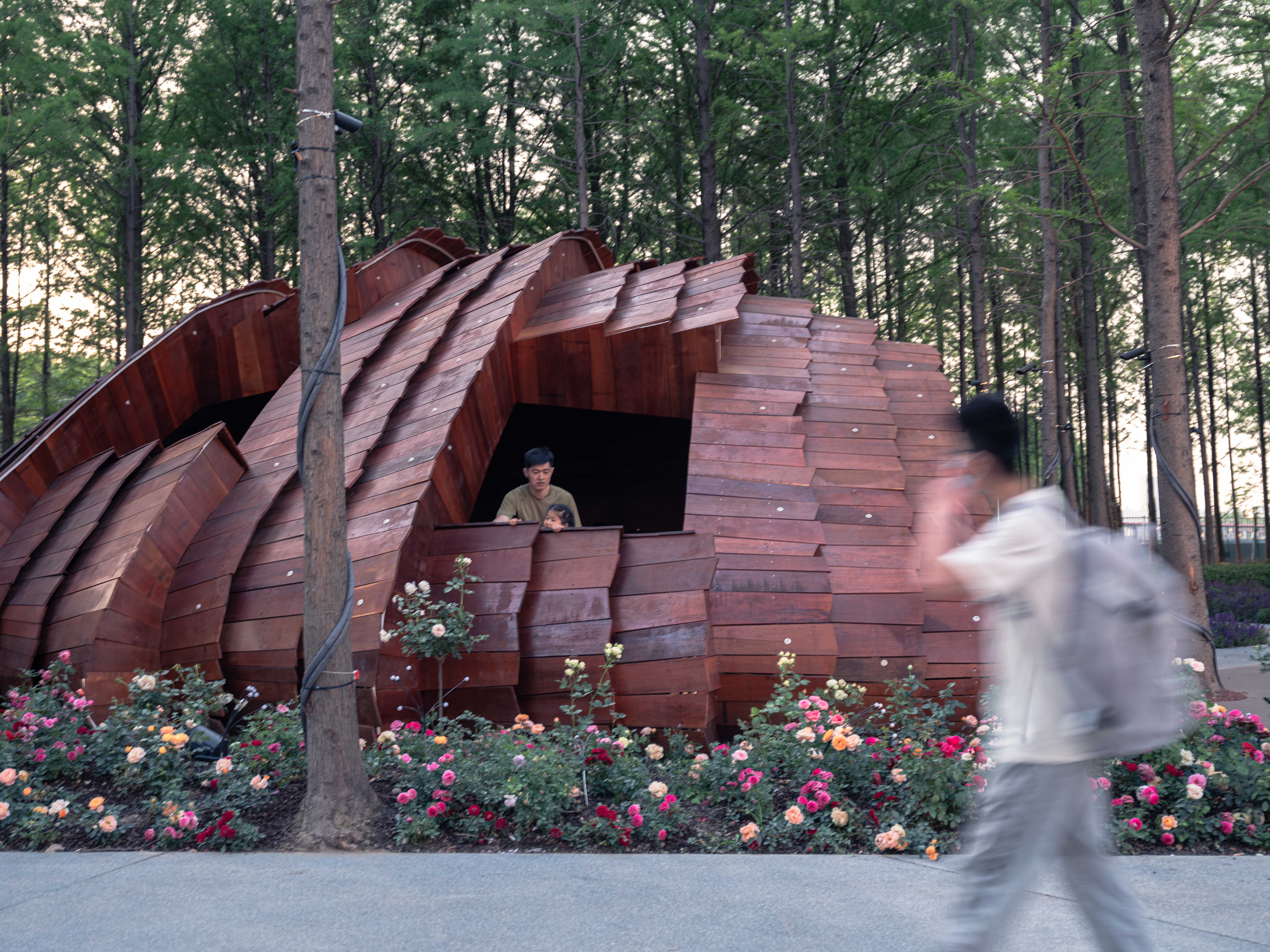Cone Pavilion: A Leisure Installation in the Bald Cypress Grove of ...