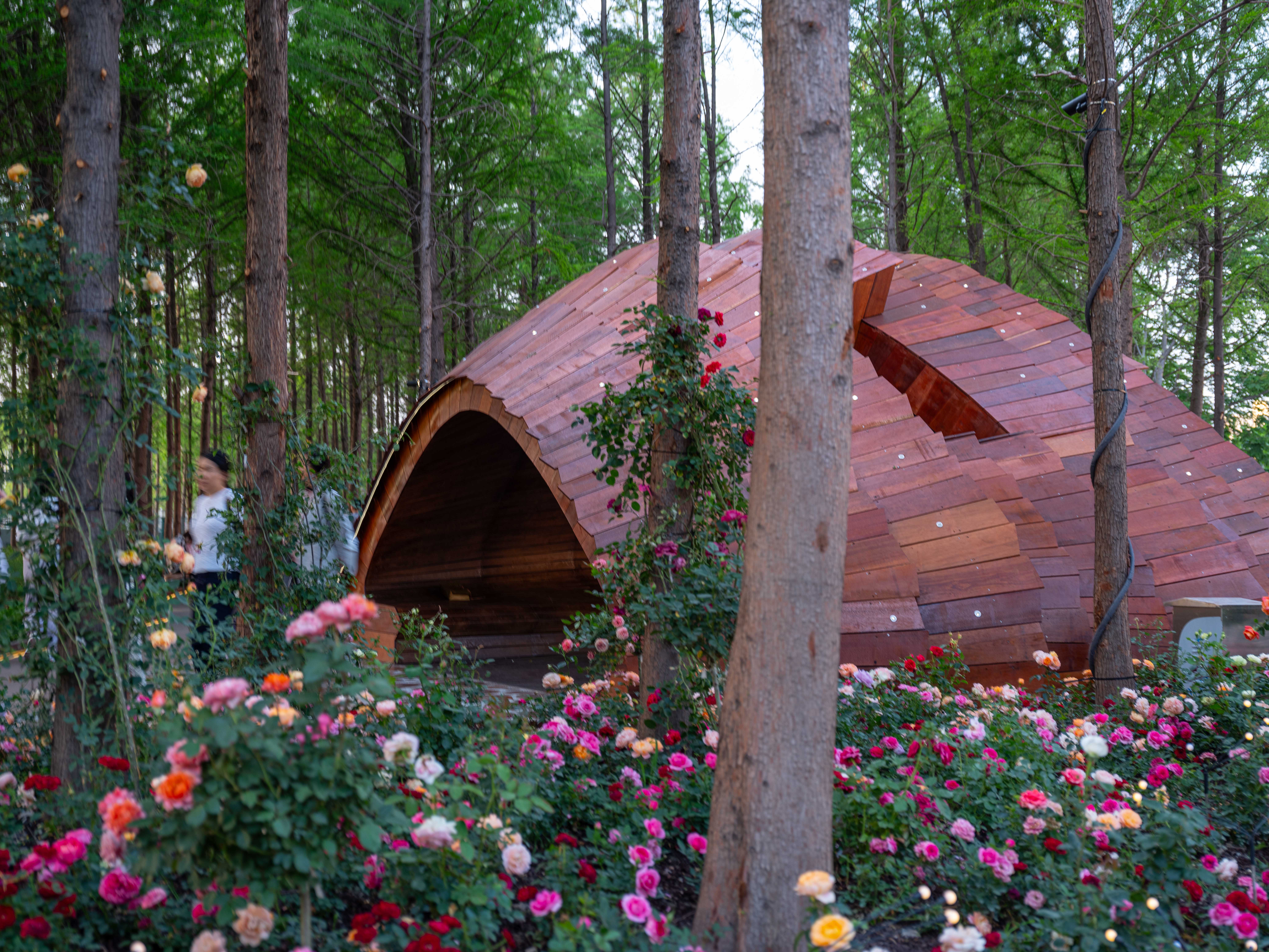 Cone Pavilion: A Leisure Installation in the Bald Cypress Grove of ...