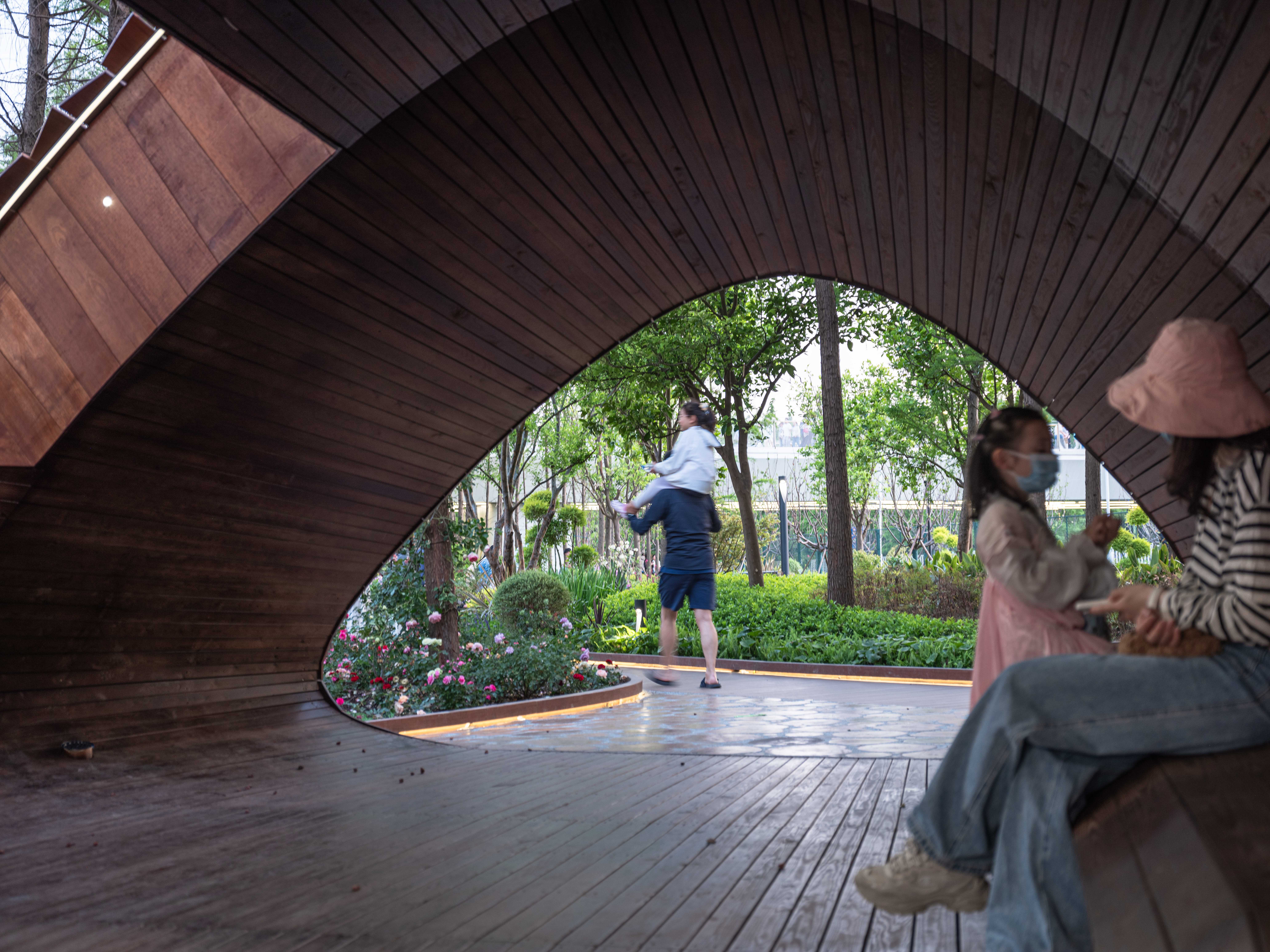 Cone Pavilion: A Leisure Installation in the Bald Cypress Grove of ...