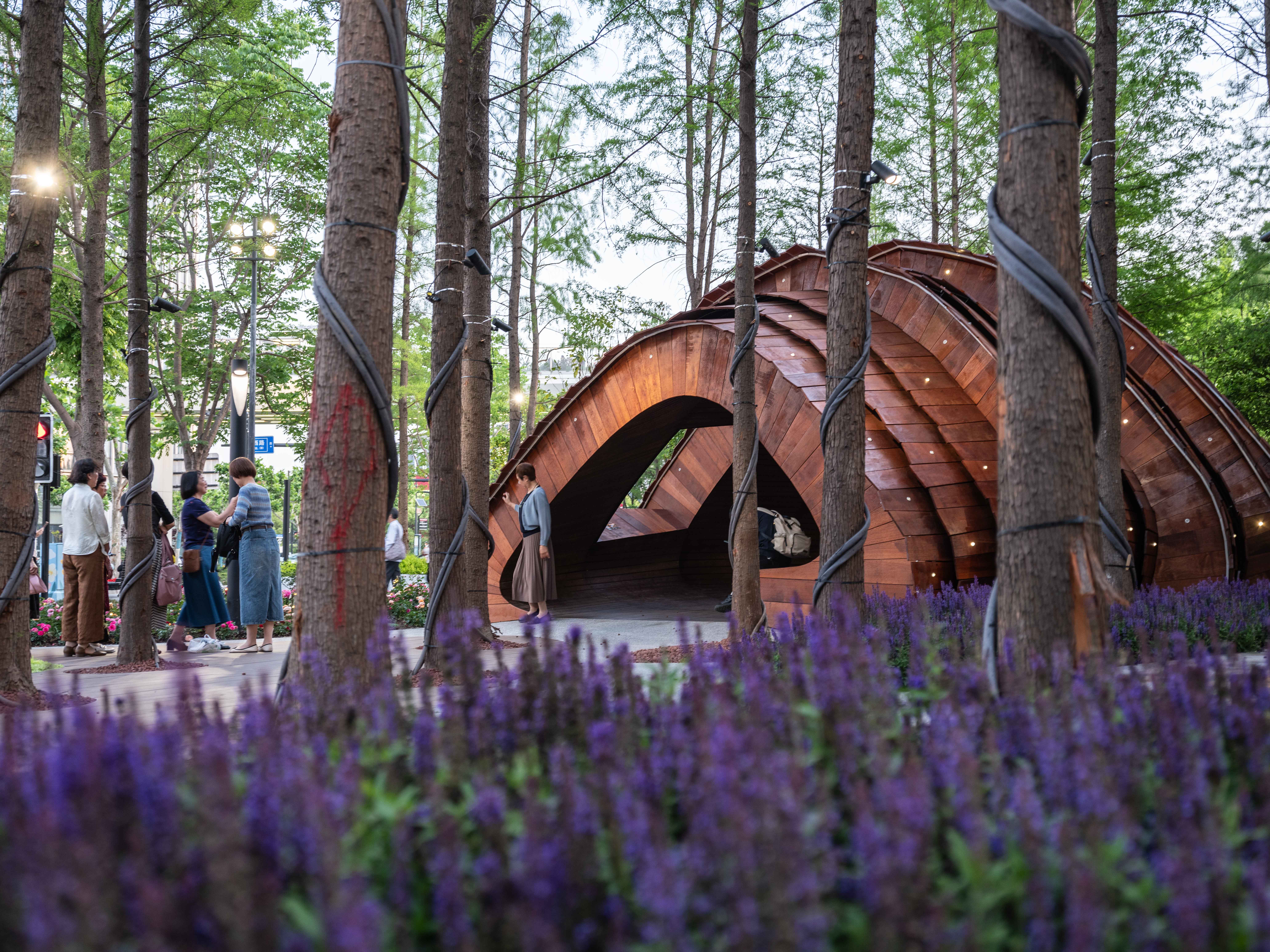 Cone Pavilion: A Leisure Installation in the Bald Cypress Grove of ...