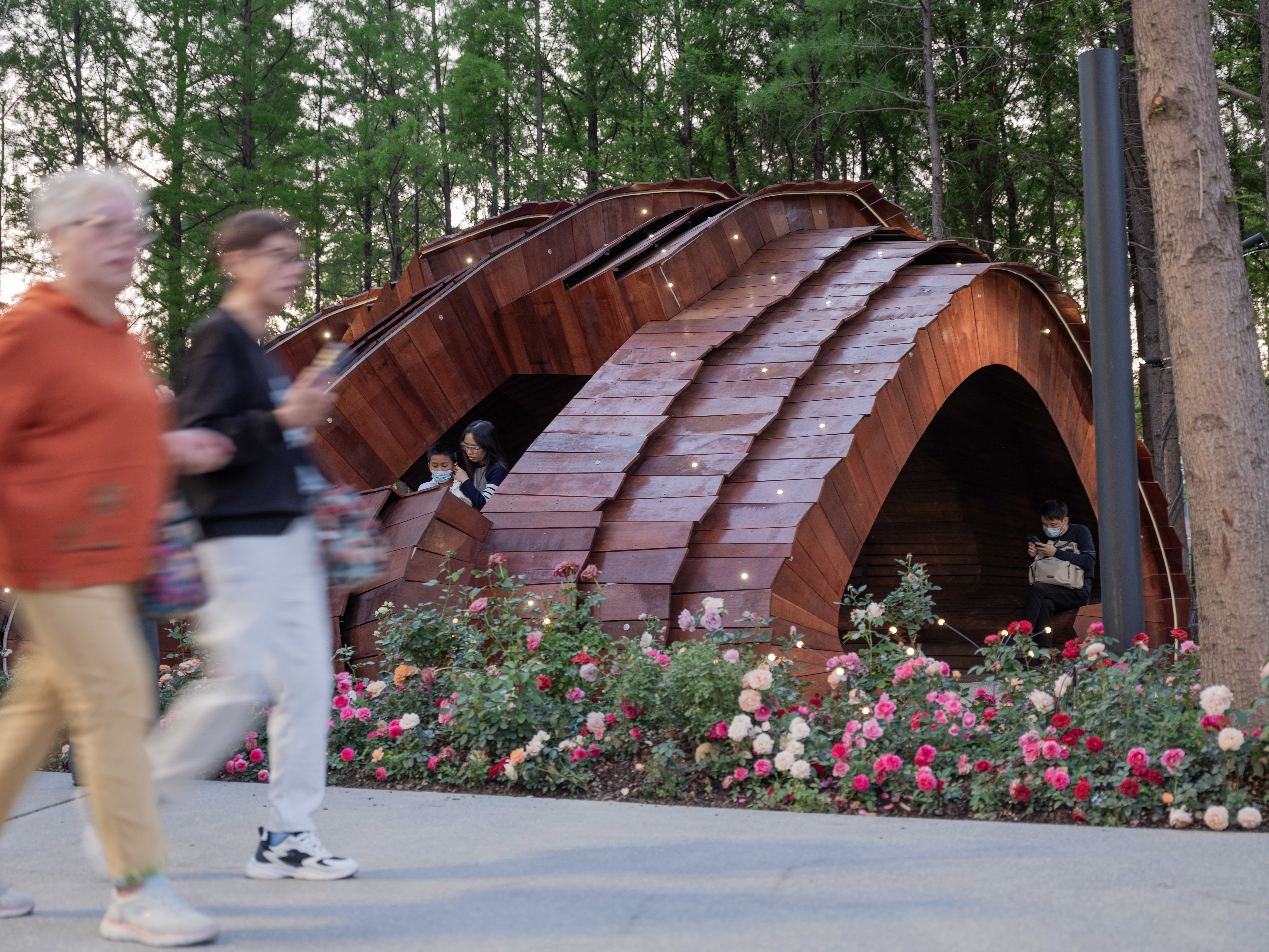 Cone Pavilion: A Leisure Installation in the Bald Cypress Grove of ...