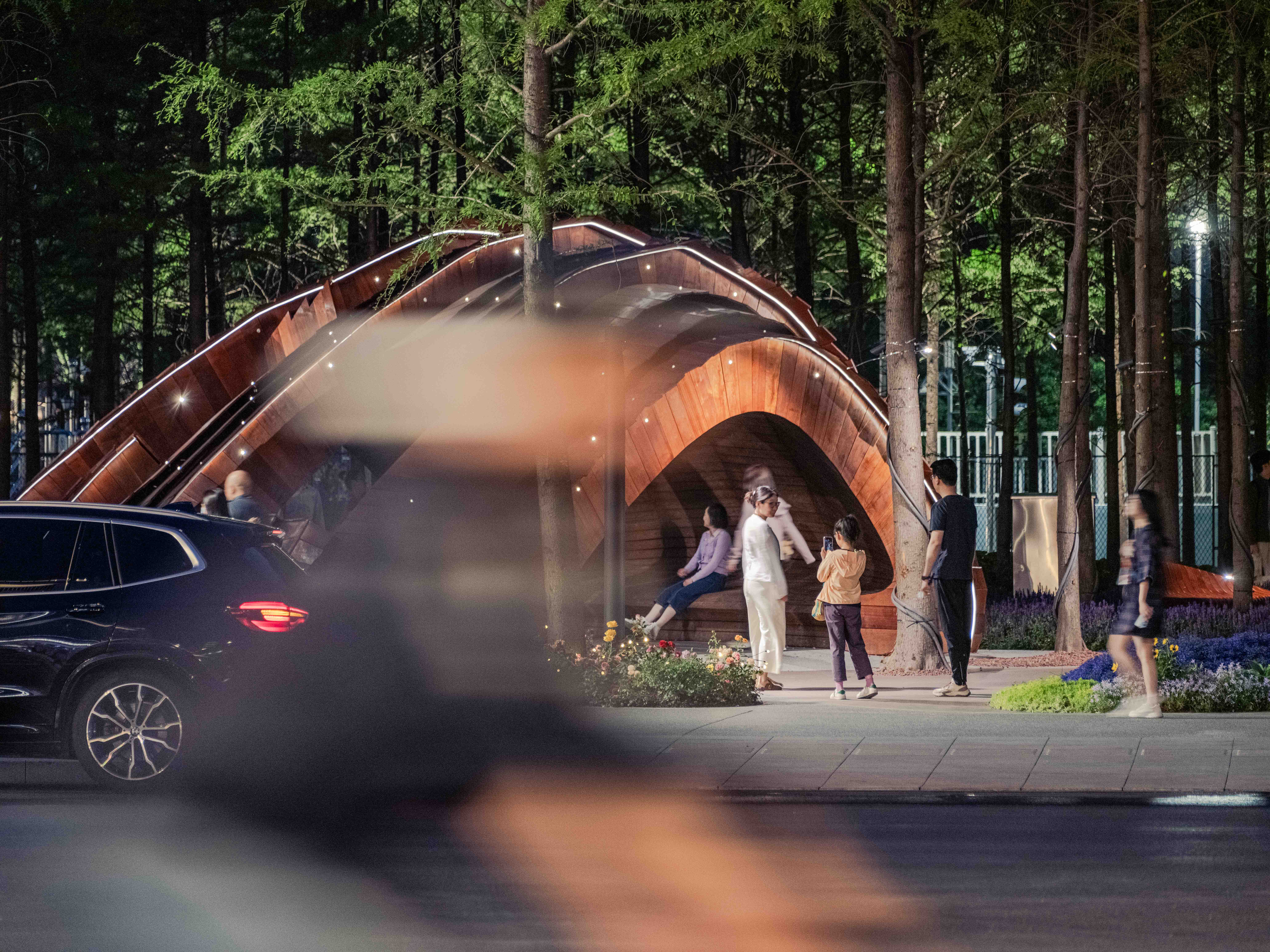 Cone Pavilion: A Leisure Installation in the Bald Cypress Grove of ...