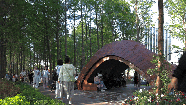 Cone Pavilion: A Leisure Installation in the Bald Cypress Grove of ...