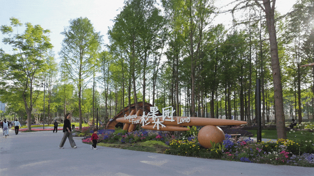 Cone Pavilion: A Leisure Installation in the Bald Cypress Grove of ...