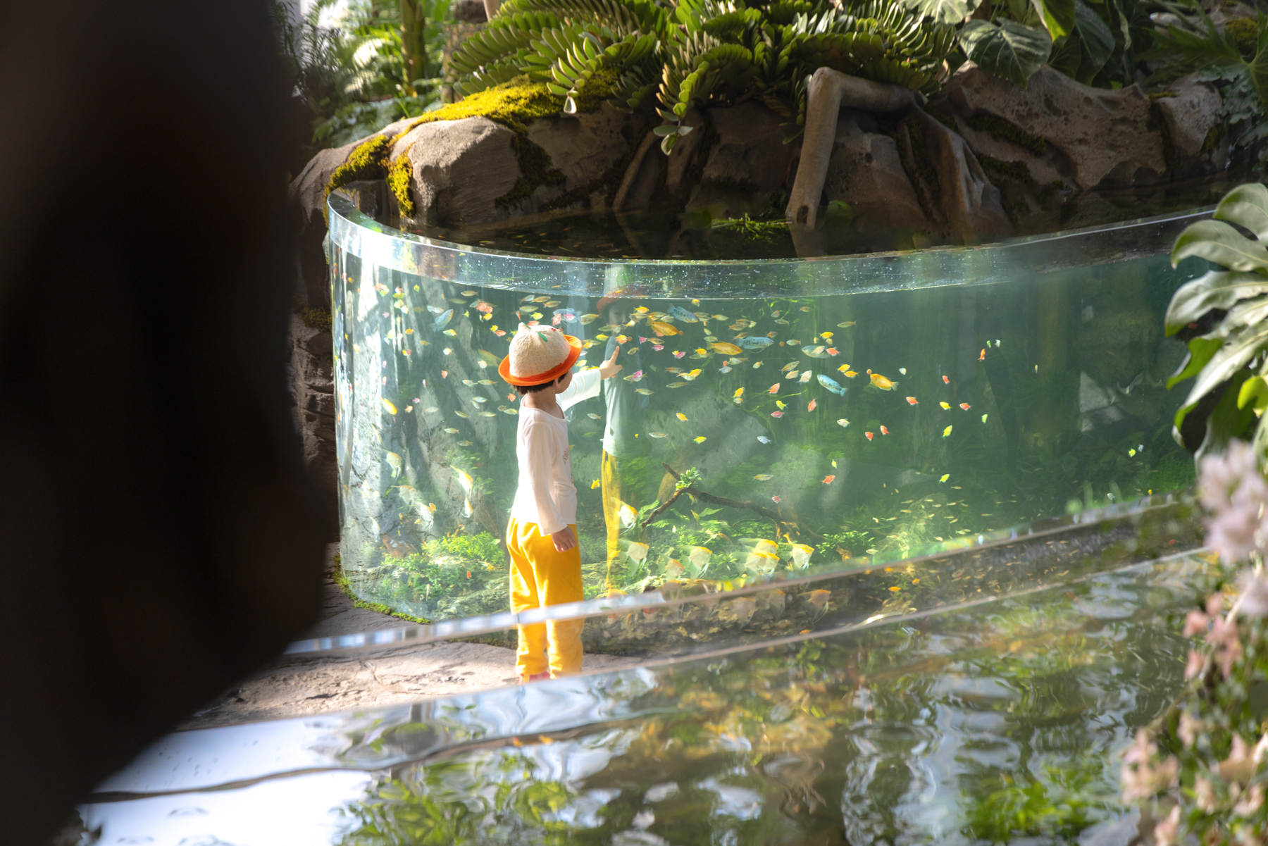 Wonder Tree: A Massive Steampunk Magical Forest Installation in a ...