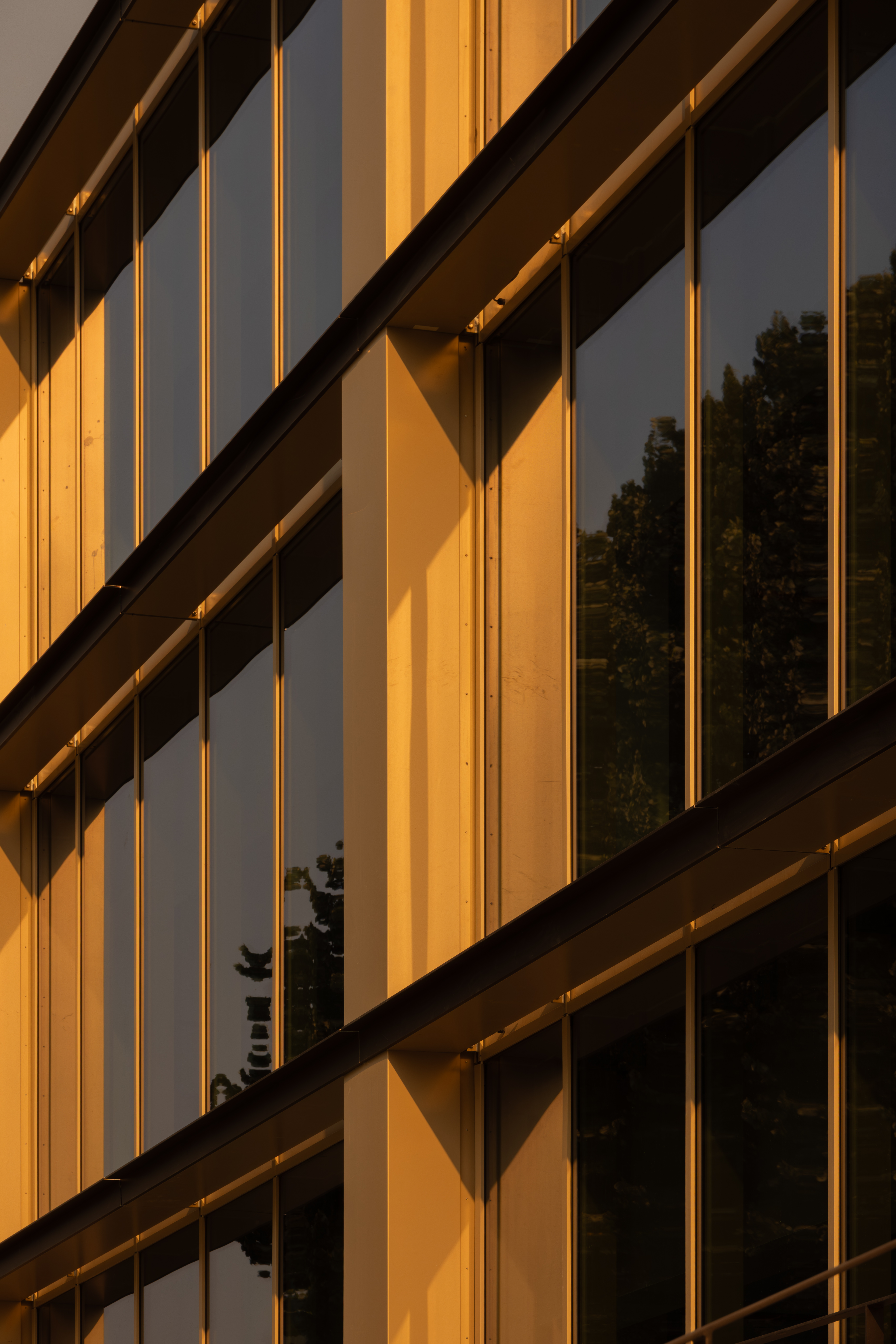Mutual Building by Openbook - Architizer