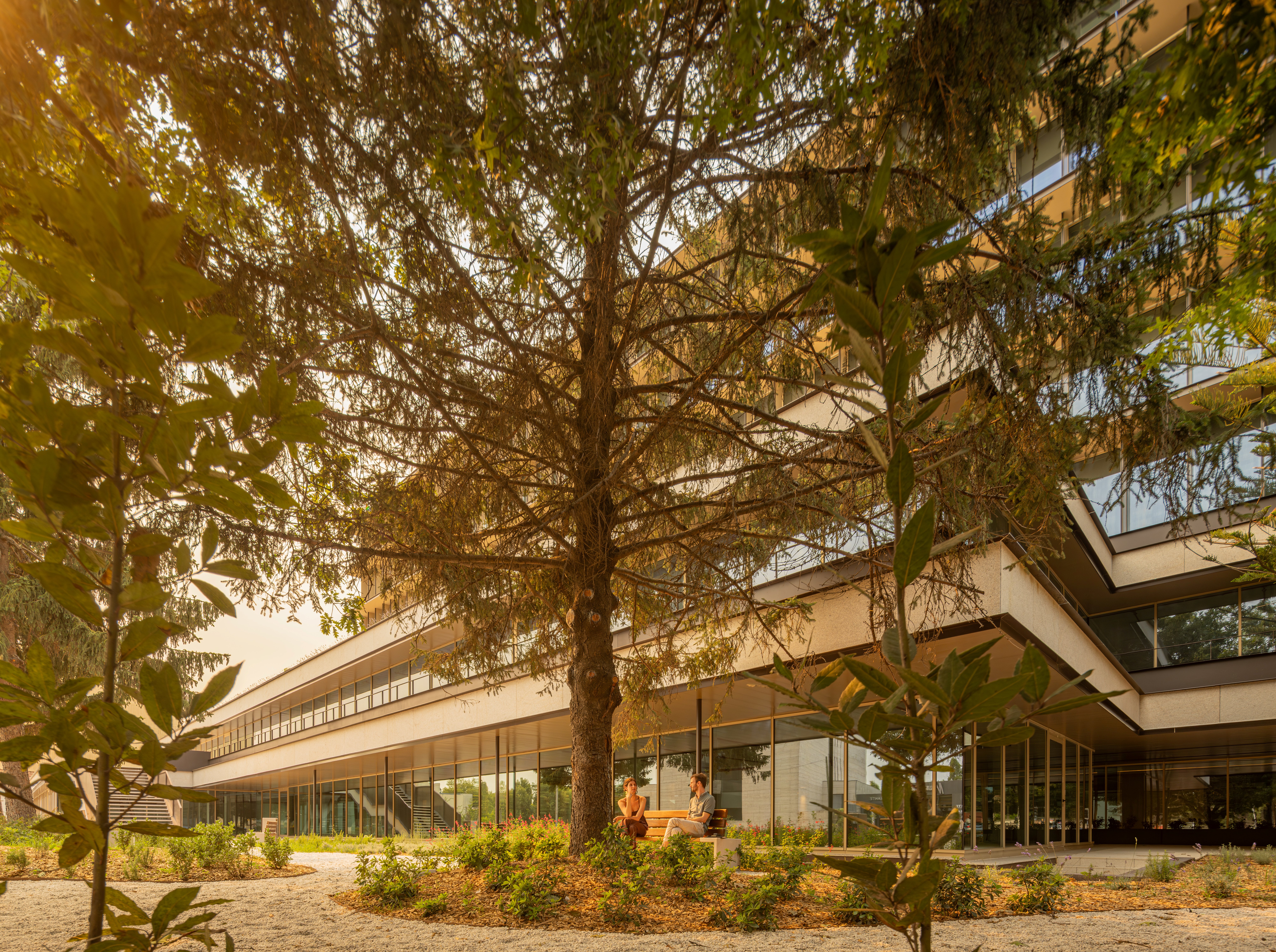Mutual Building by Openbook - Architizer