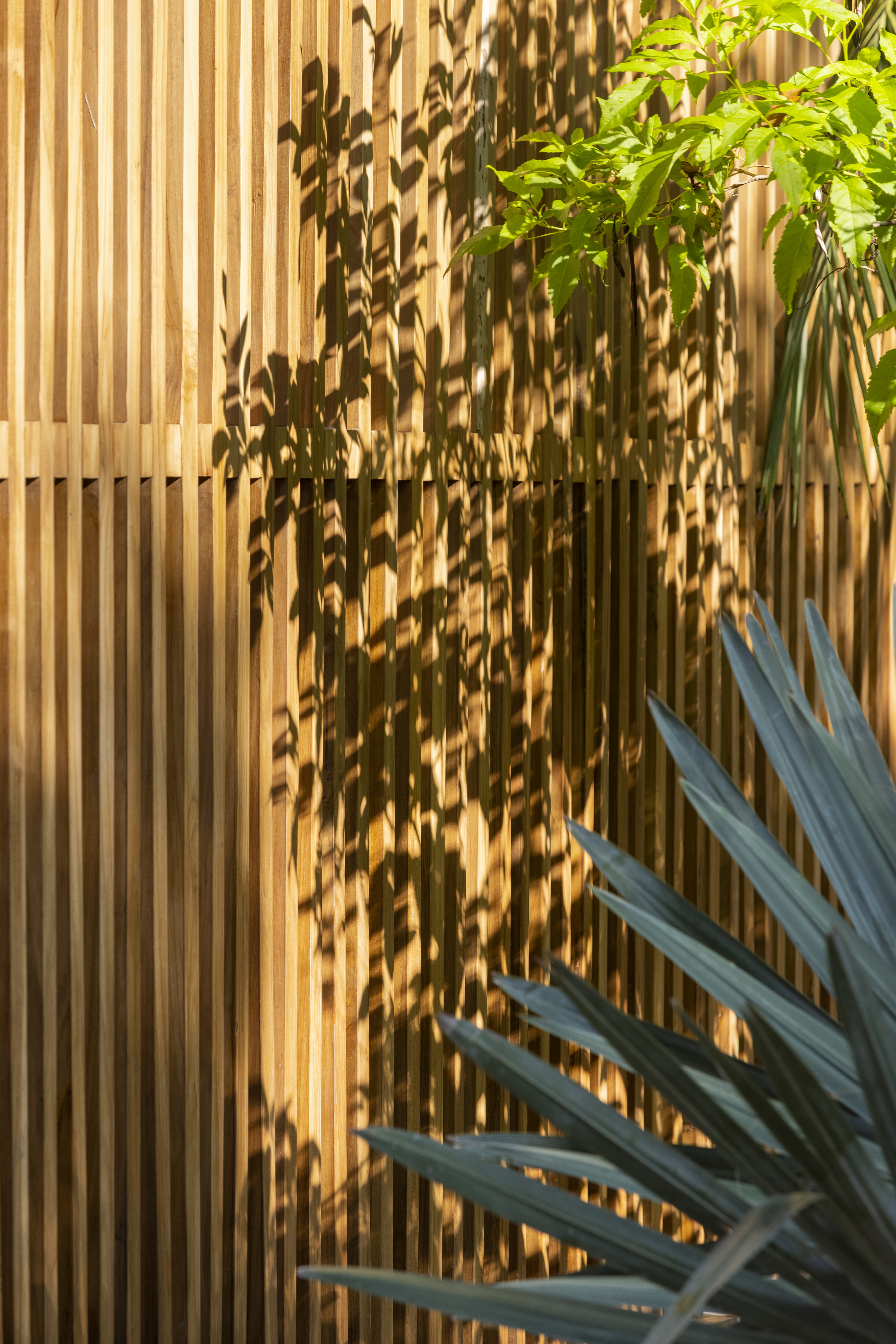 Chi House by Salagnac Arquitectos - Architizer