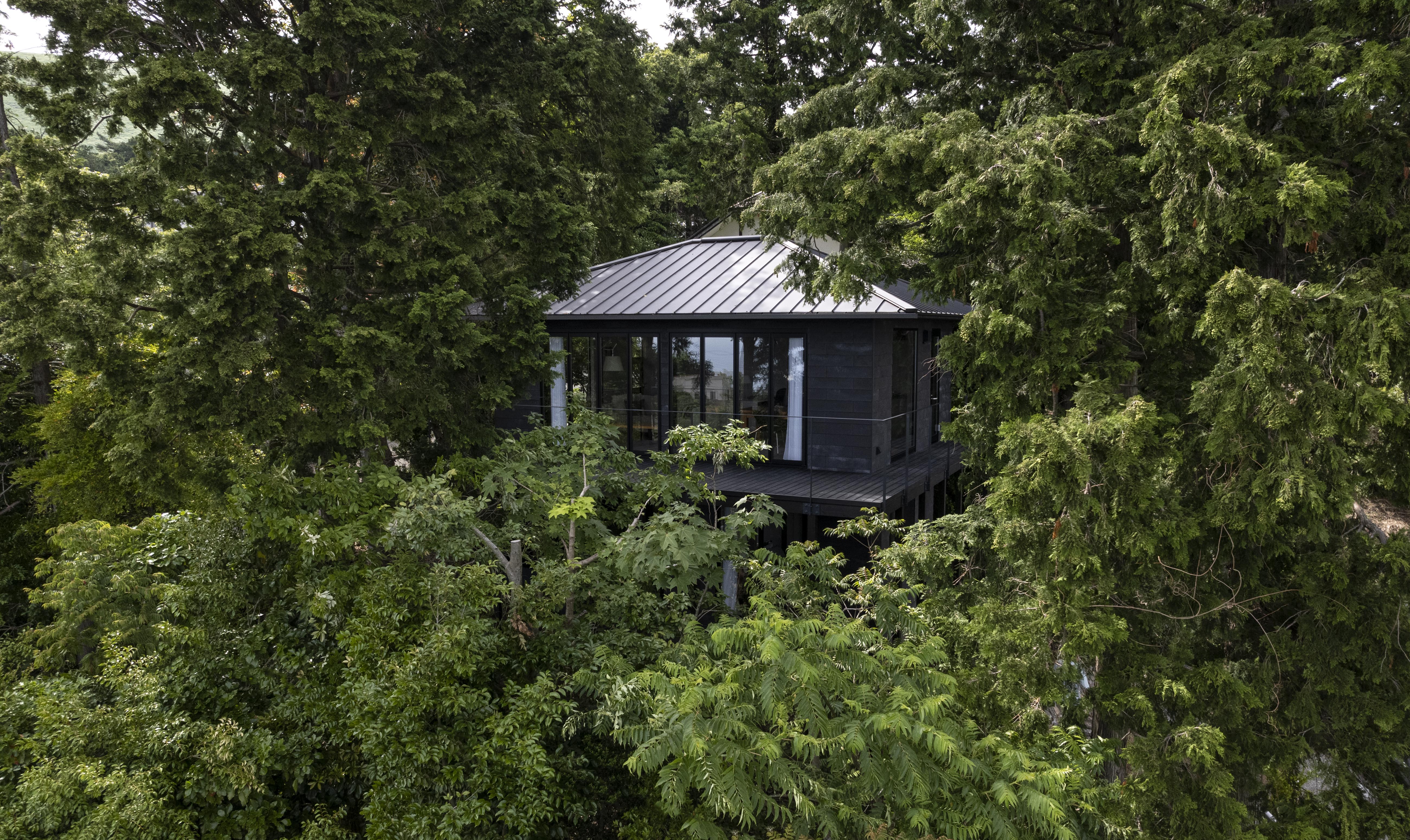 AMANE ARCHITECTS - Architizer