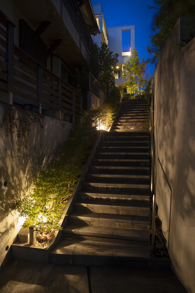 House D by AMANE ARCHITECTS - Architizer
