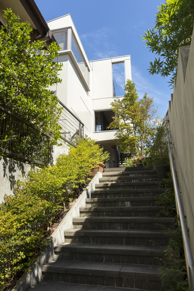 House D by AMANE ARCHITECTS - Architizer
